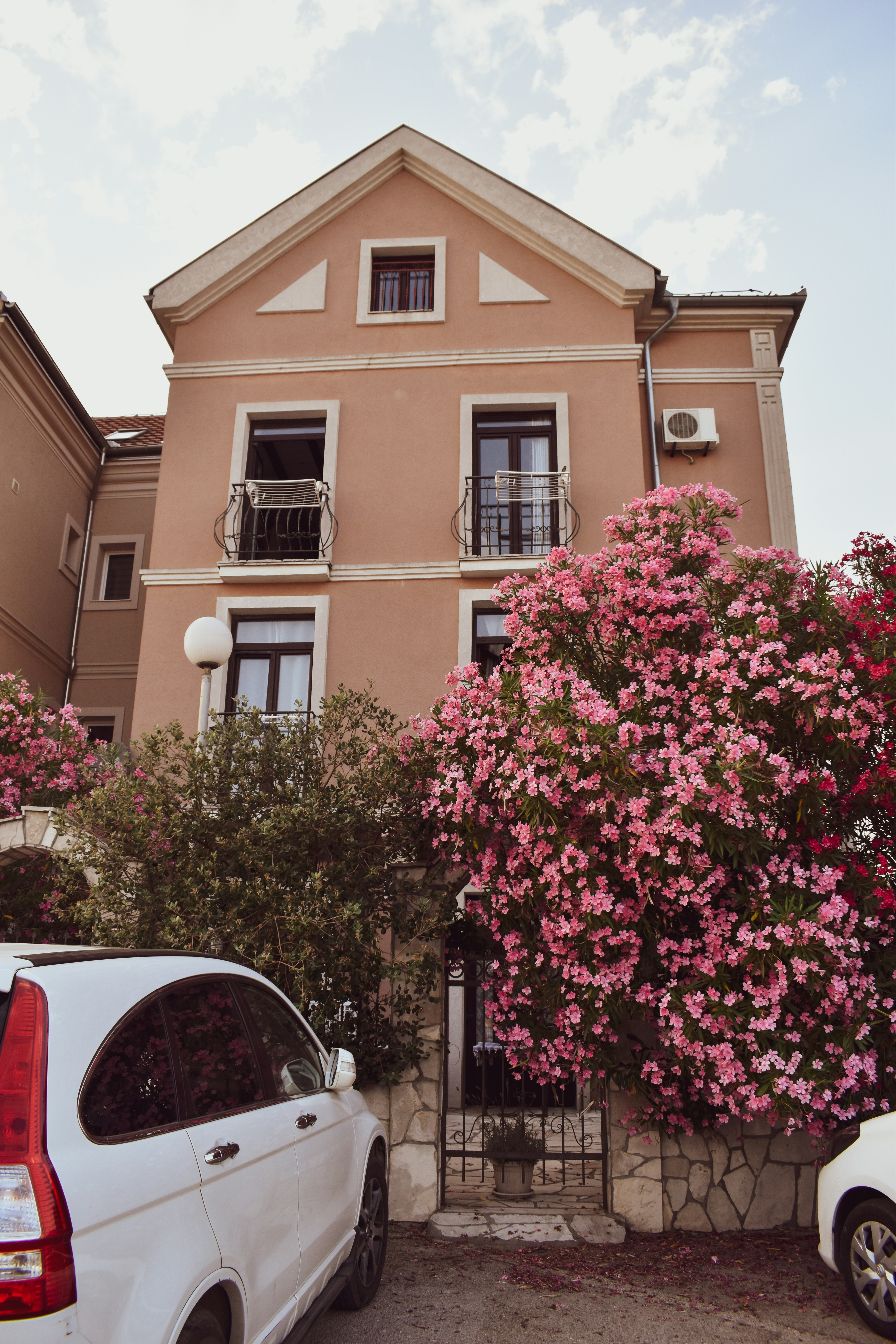 a house with a large tree in front of it
