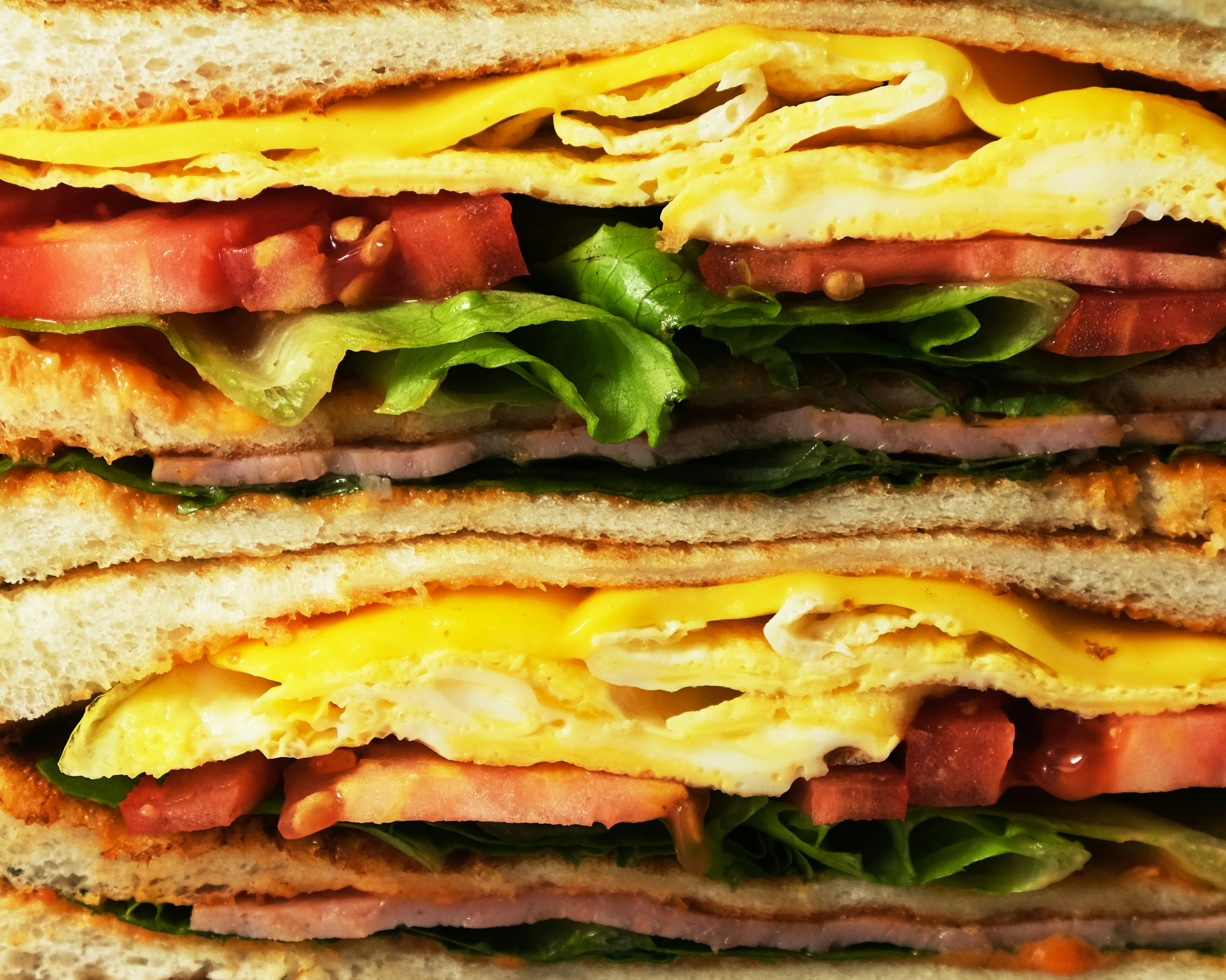 A close-up of several sandwiches photo – Free Food Image on Unsplash
