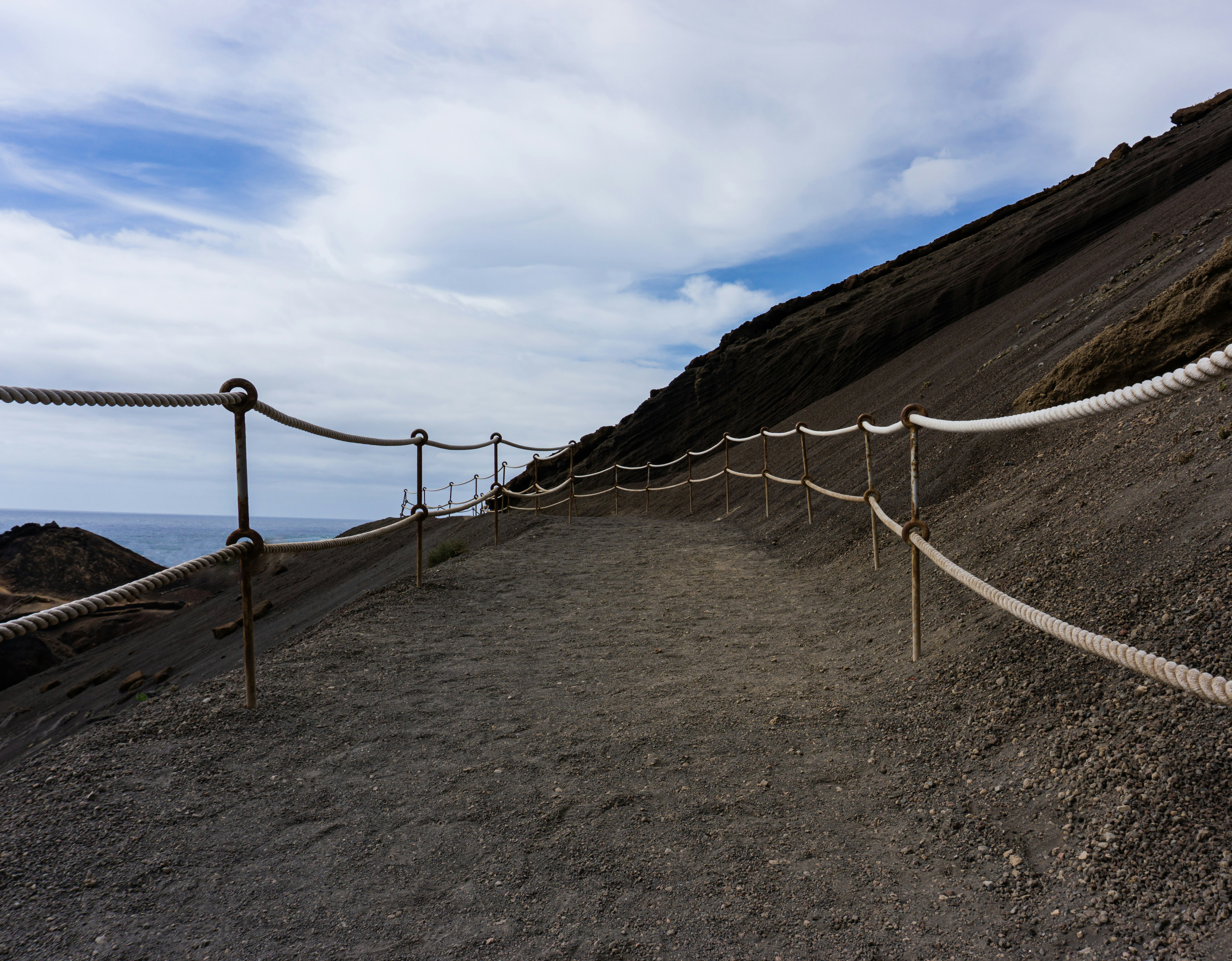 Winding Pathway Through Nature's Embrace