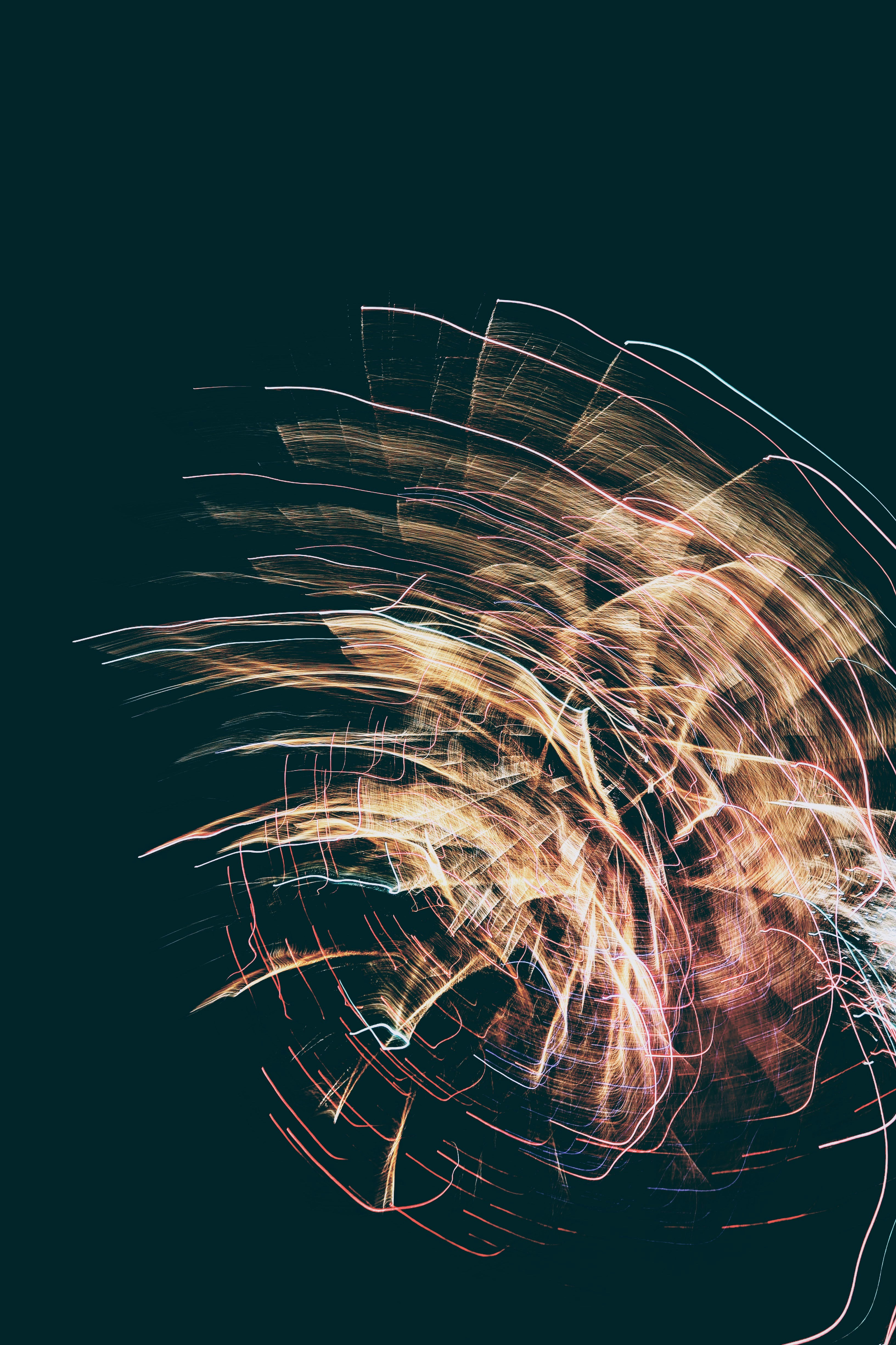A close-up of a brain photo – Free Fireworks Image on Unsplash