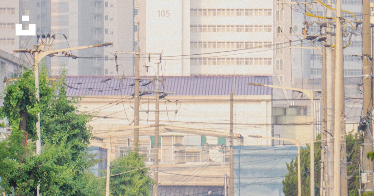 나무와 건물이 있는 거리 사진 Unsplash의 무료 대한민국 이미지