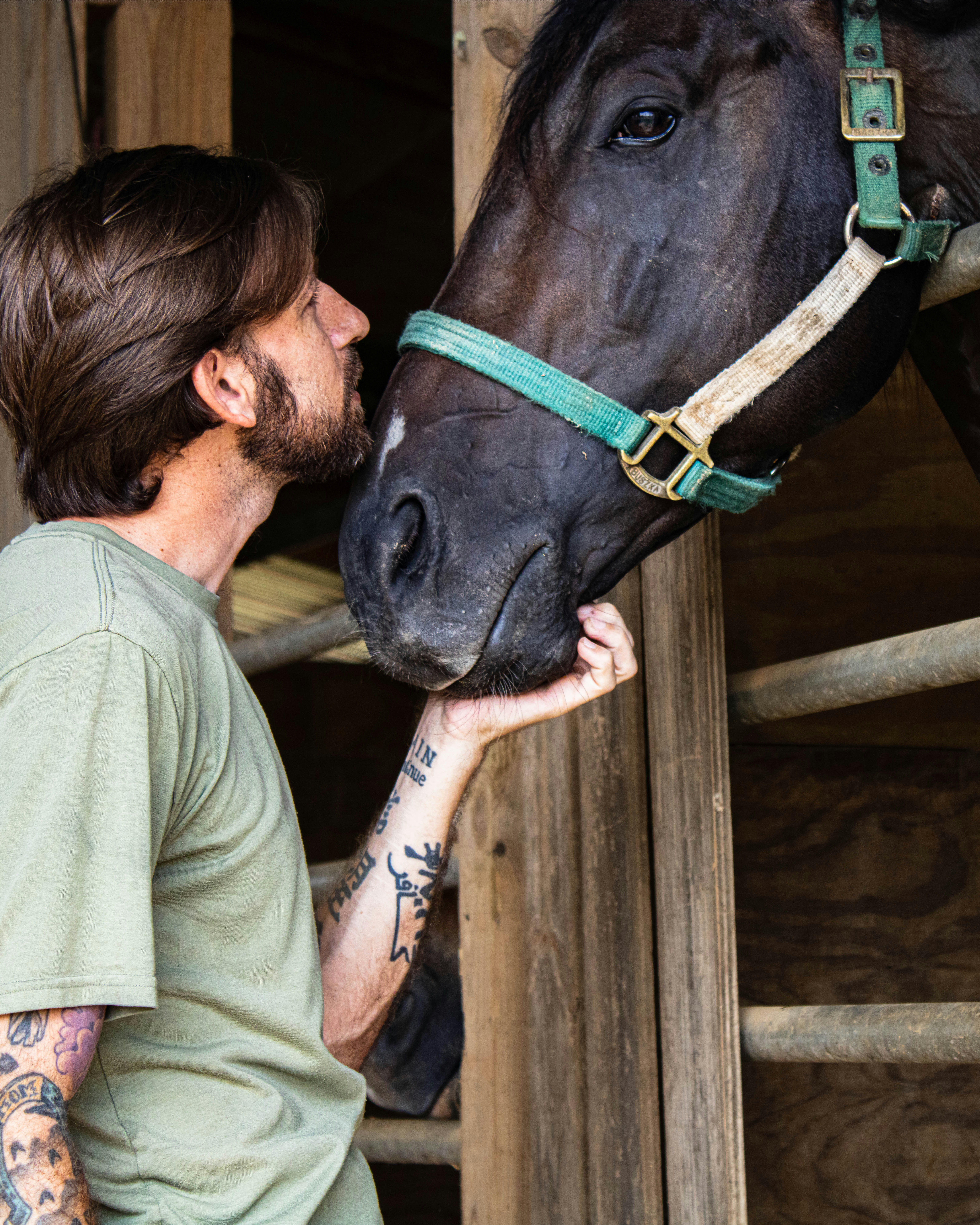 Whisper of Trust: Man and Horse Share a Quiet Moment