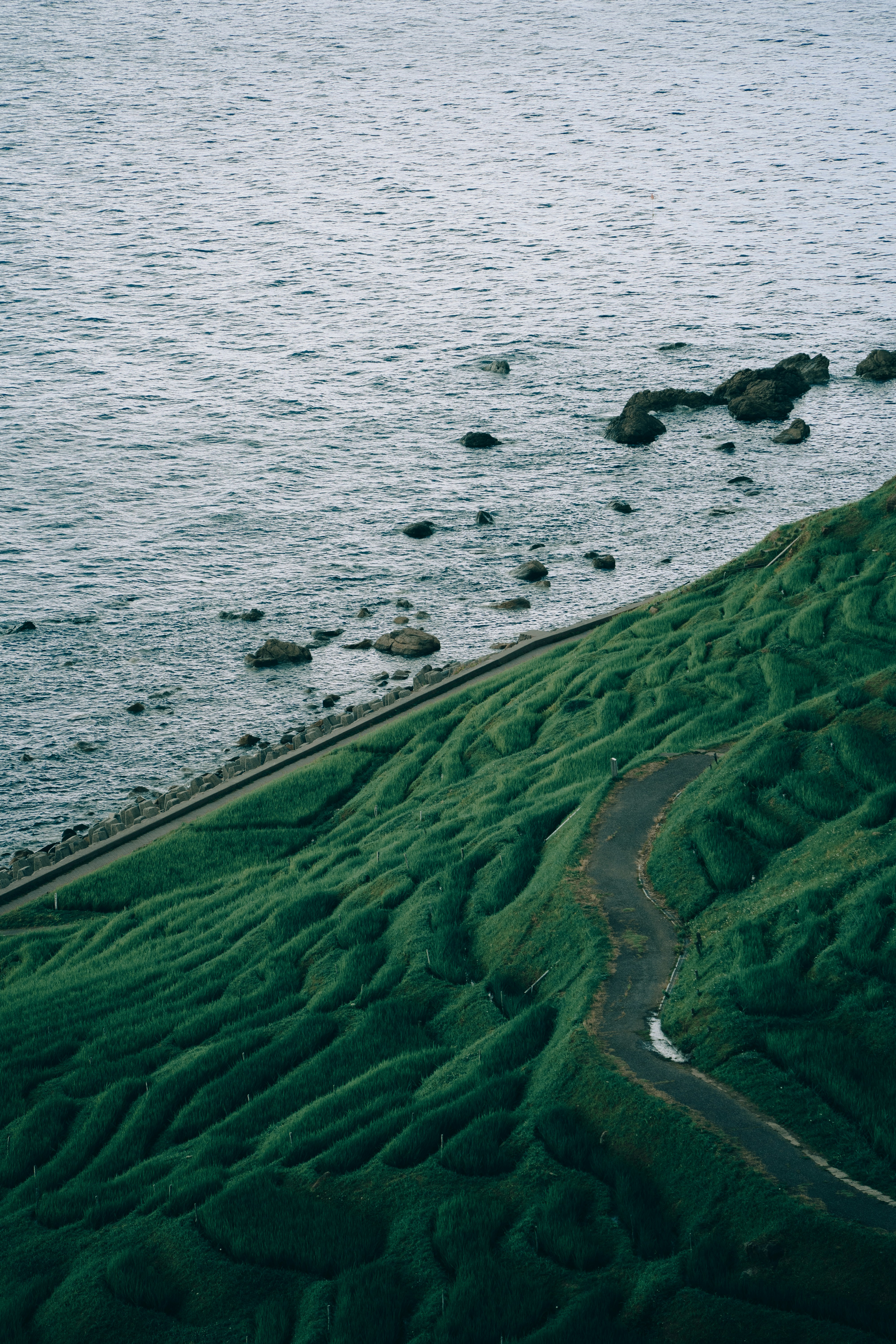 Emerald Ridges Meet the Tide: A Winding Coastal Path