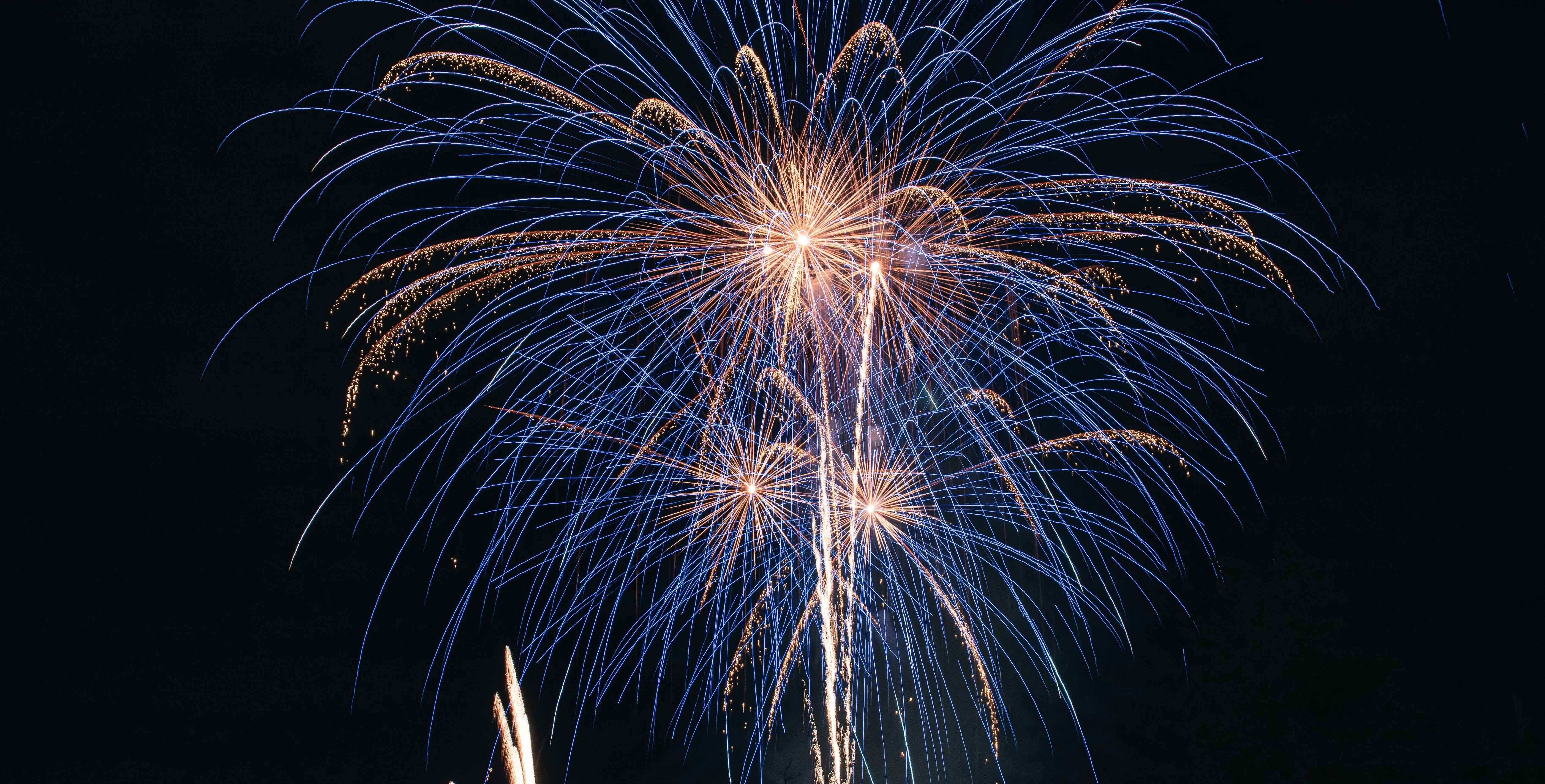 A firework exploding in the sky photo – Free Fireworks Image on Unsplash