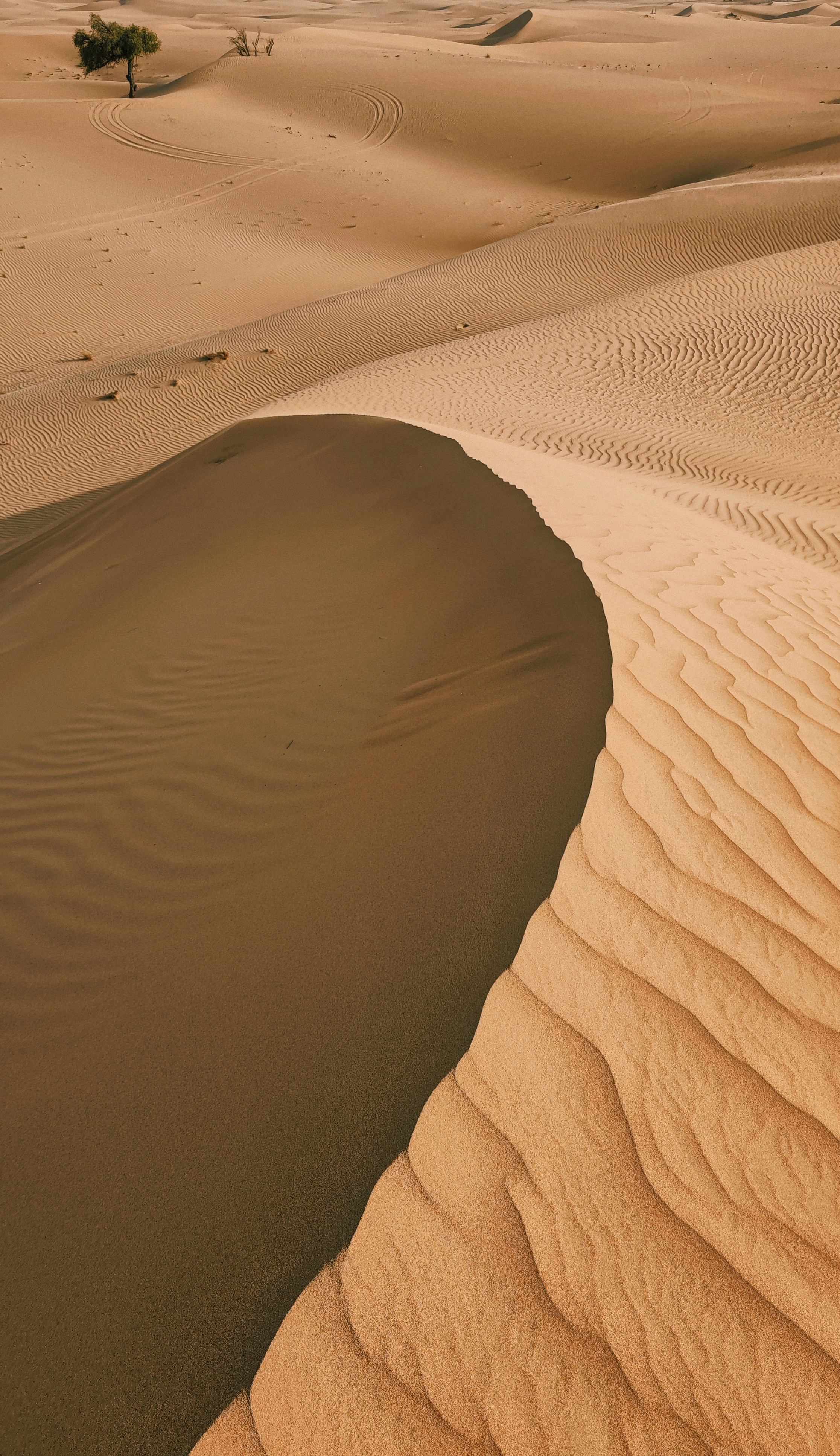 Une grande dune de sable photo – Photo Abu Dhabi - Émirats arabes unis ...