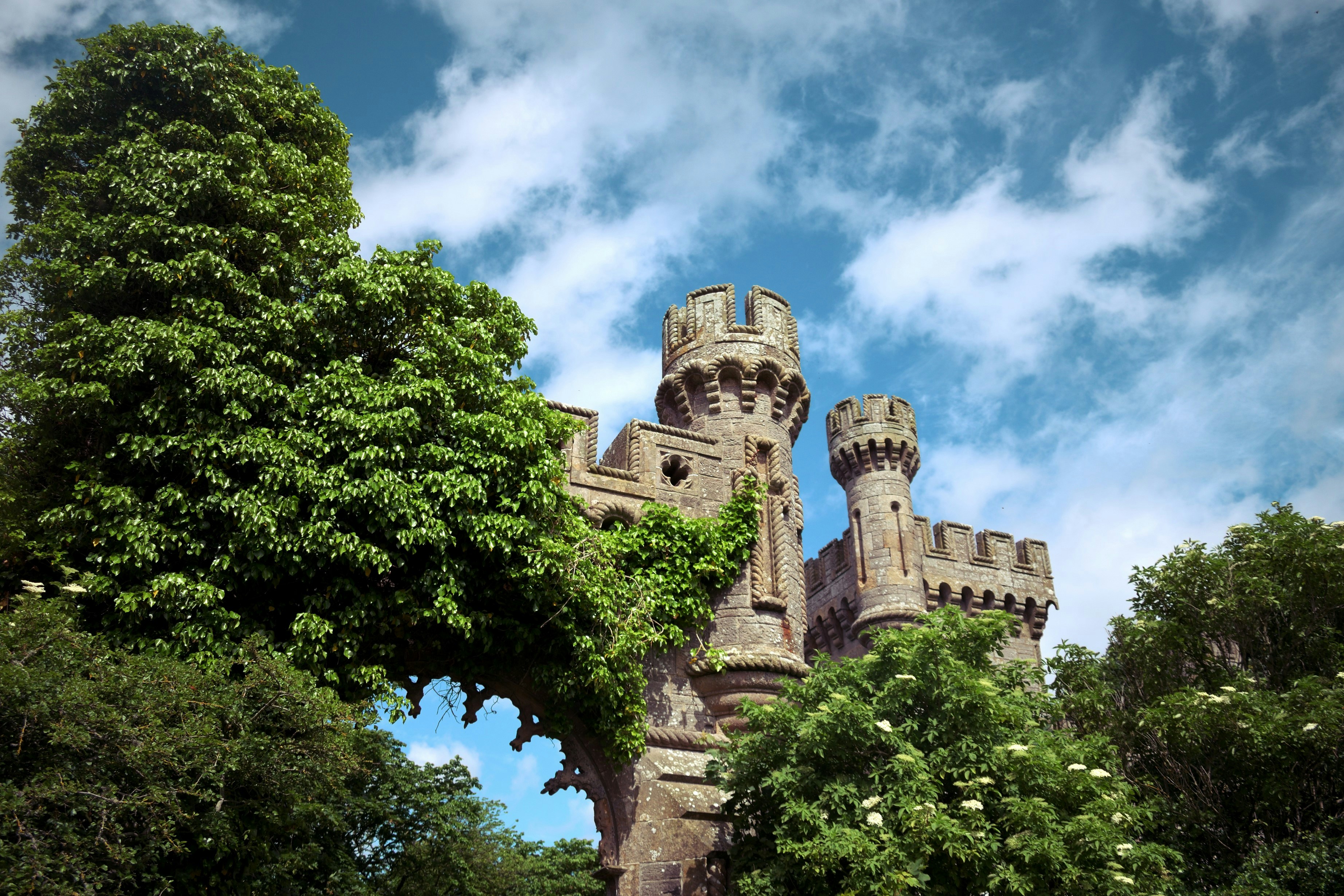 A castle with trees around it photo – Free Uk Image on Unsplash