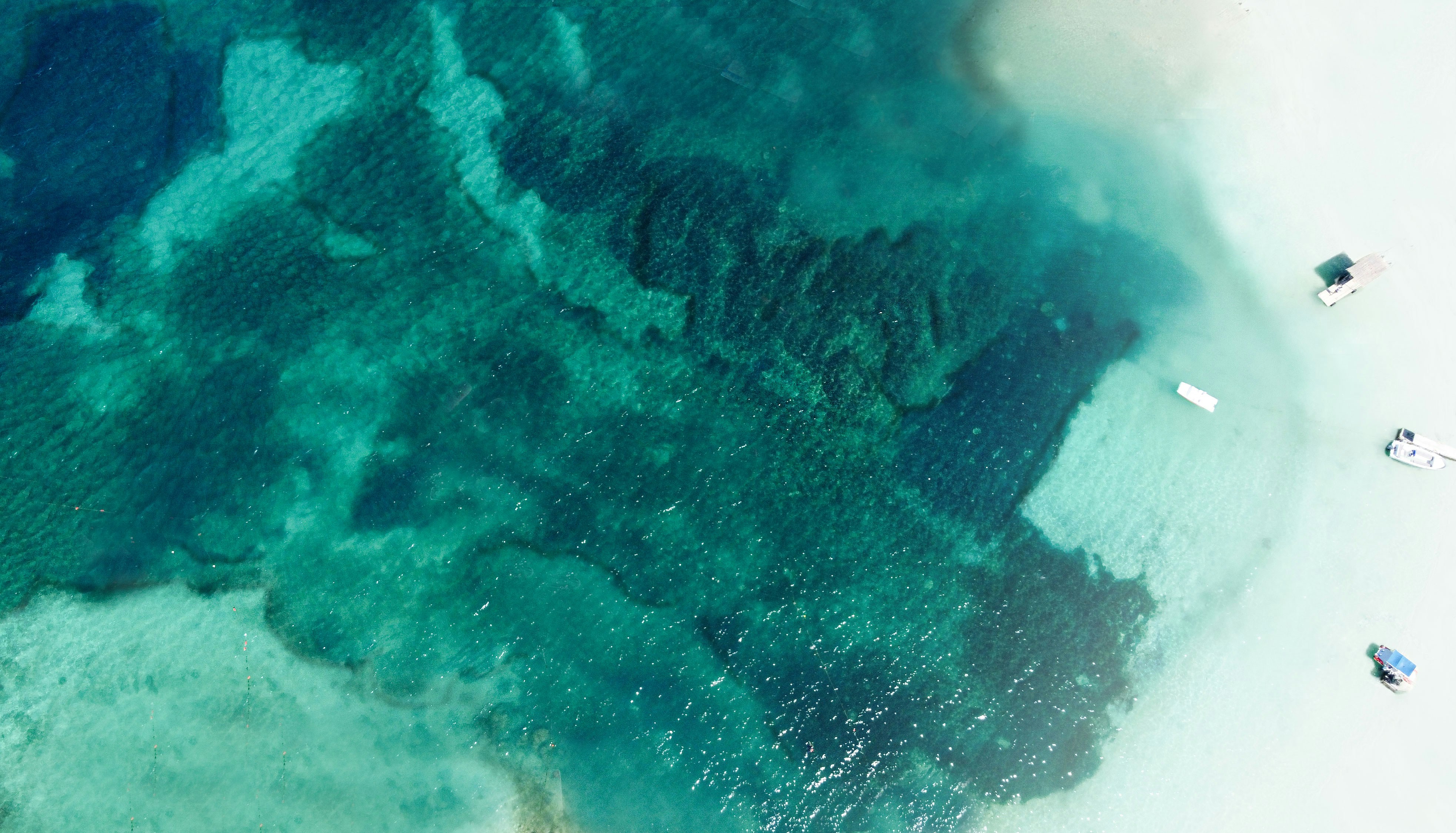 Albanian Language Quiz