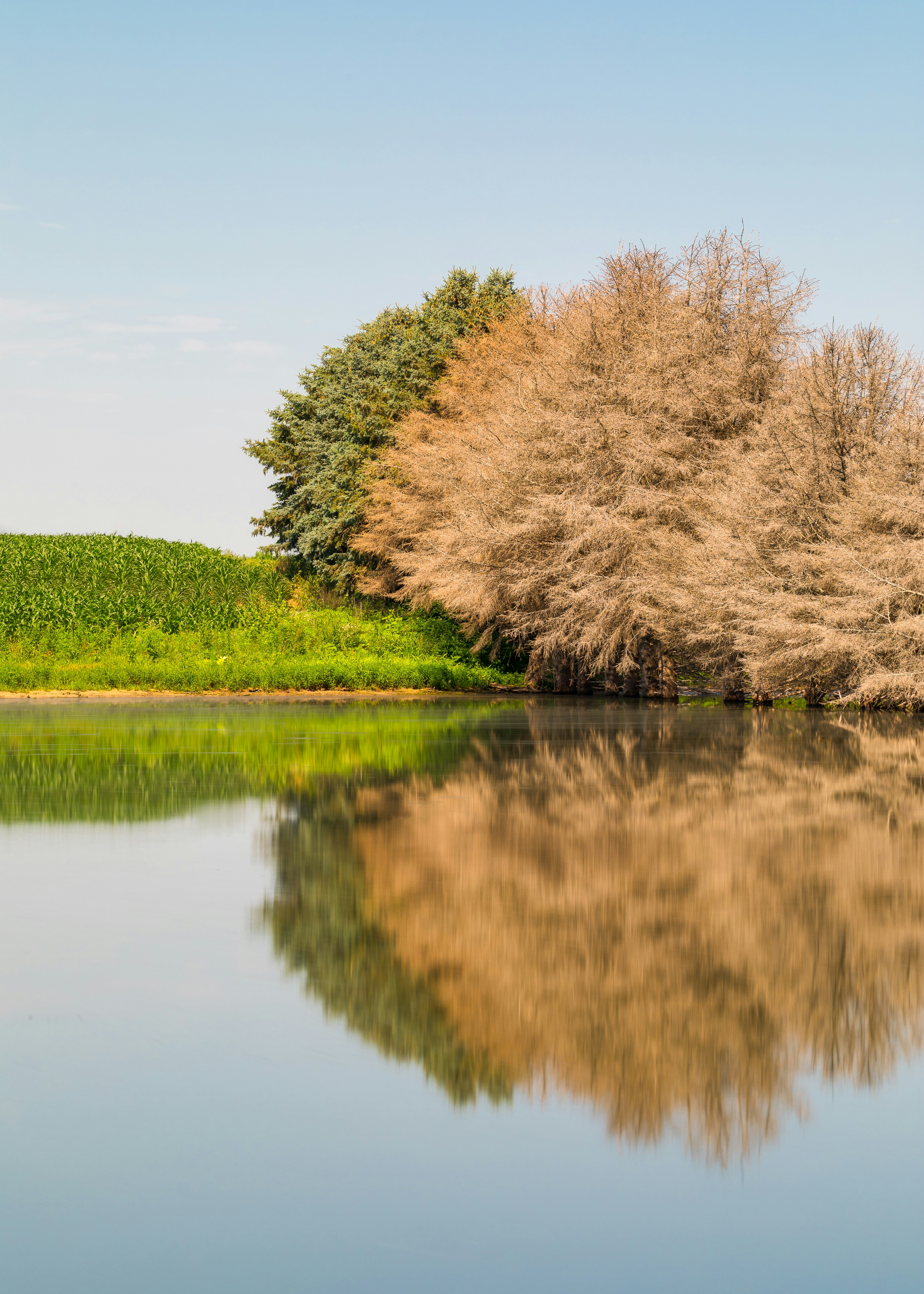 Blue, Green and Brown