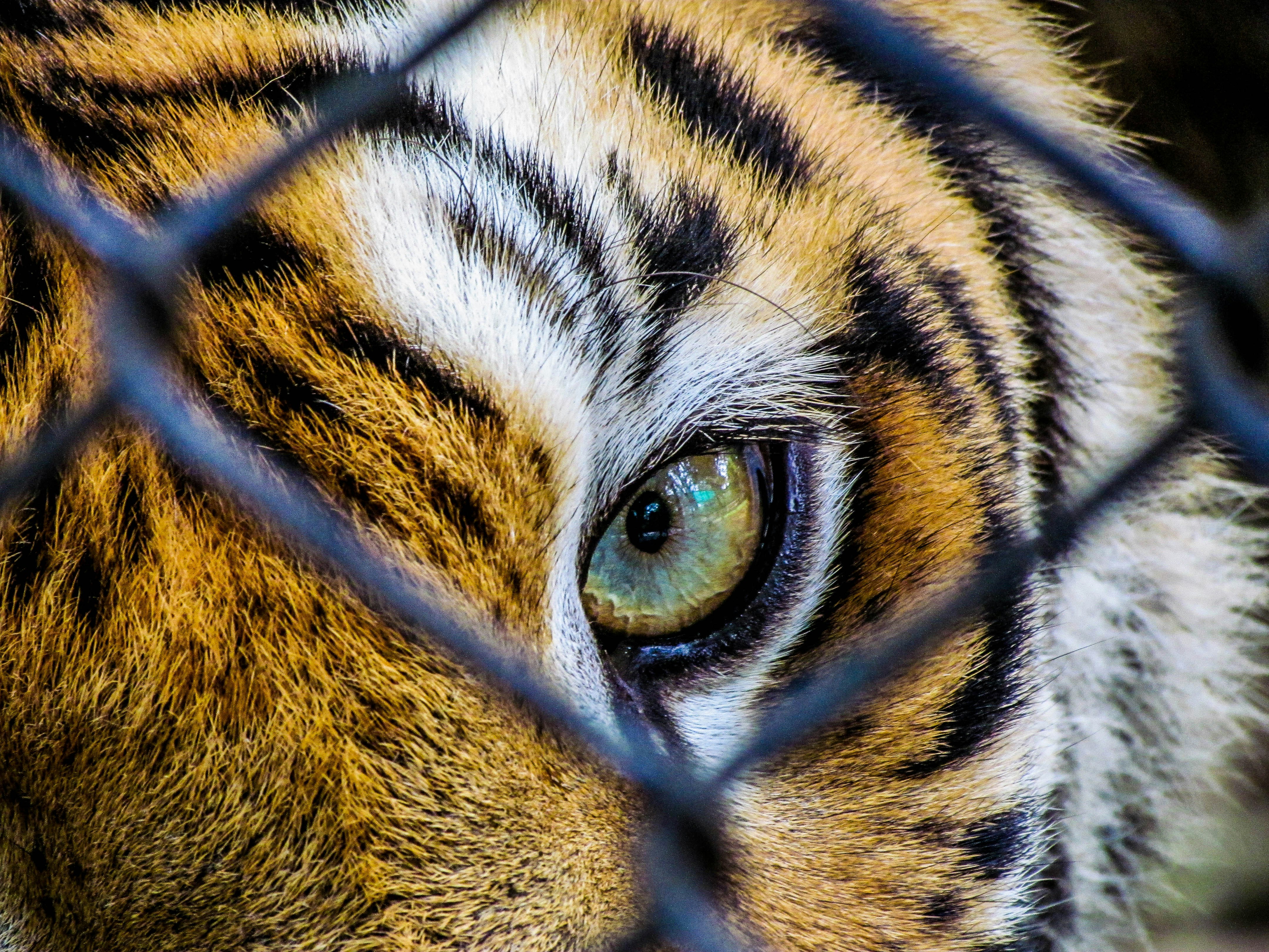 Photo by Ninan John with Canon PowerShot SX30 IS