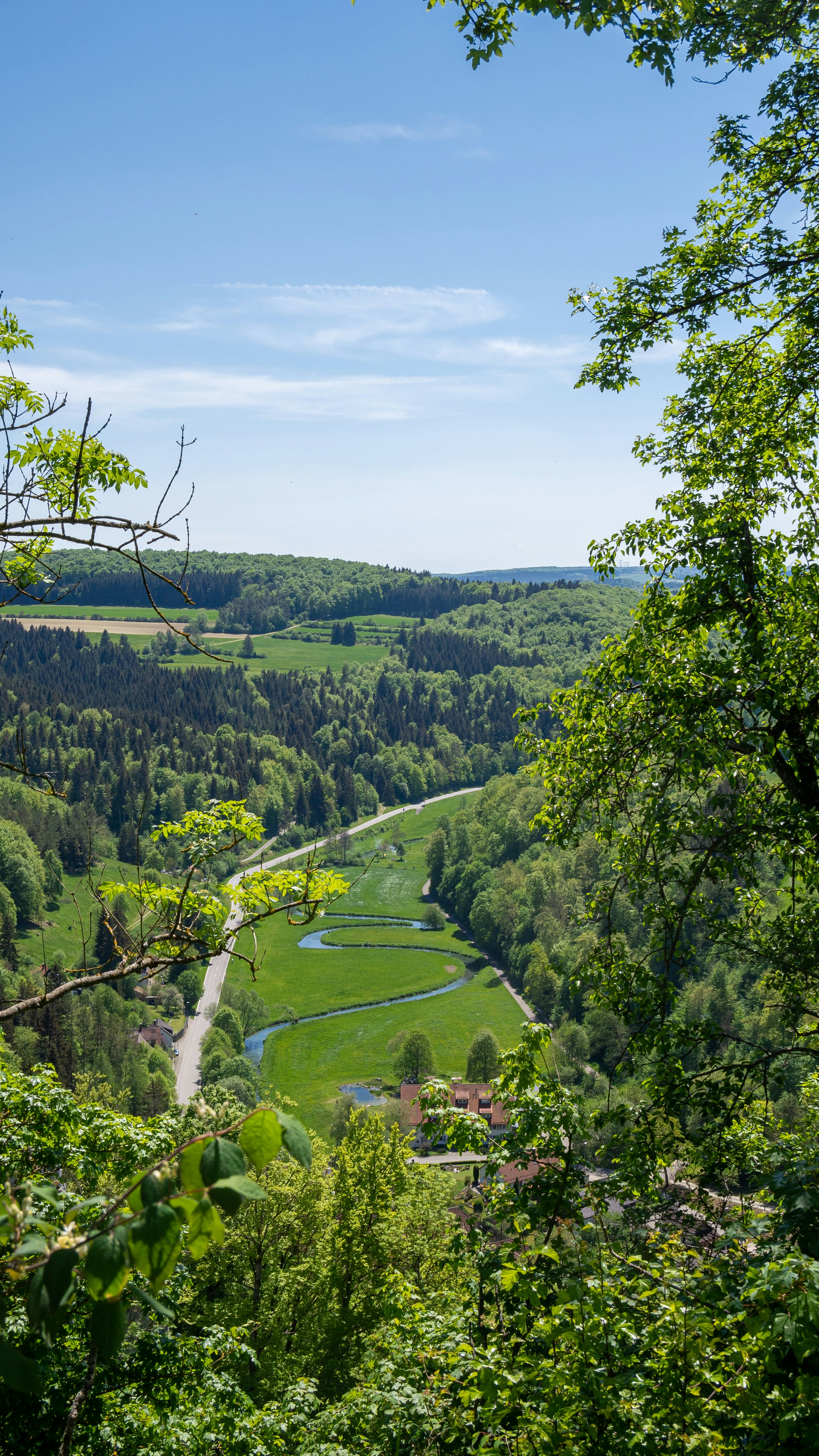 Une vallée verdoyante avec des arbres et une rivière photo – Photo ...