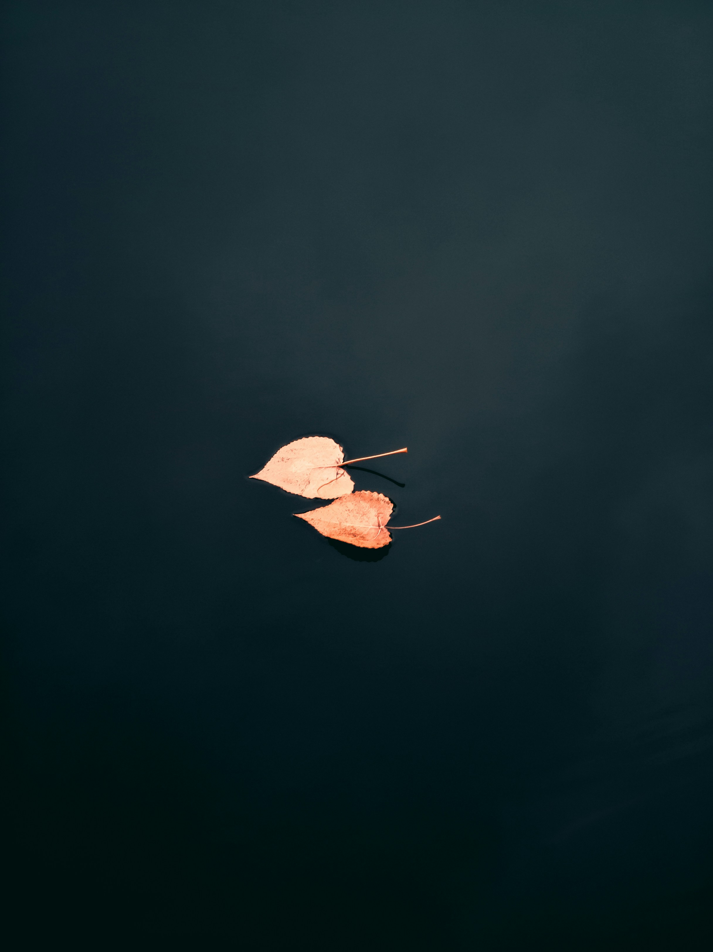 Photo by Tiago Ferreira with Huawei P30 Pro