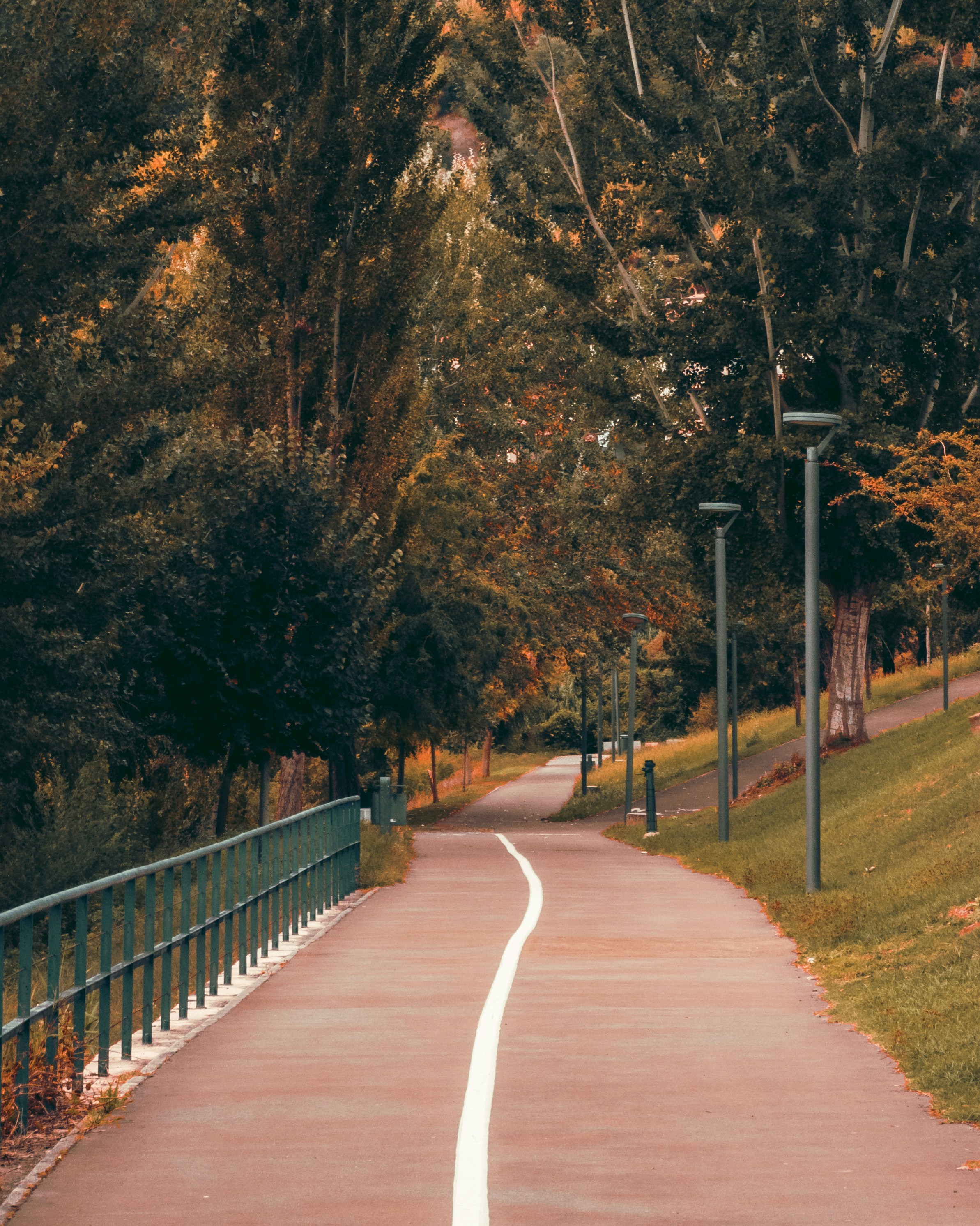 A serene pathway lined with trees in autumn foliage, featuring a distinct white line guiding the way. The scene captures the tranquility of nature in transition.