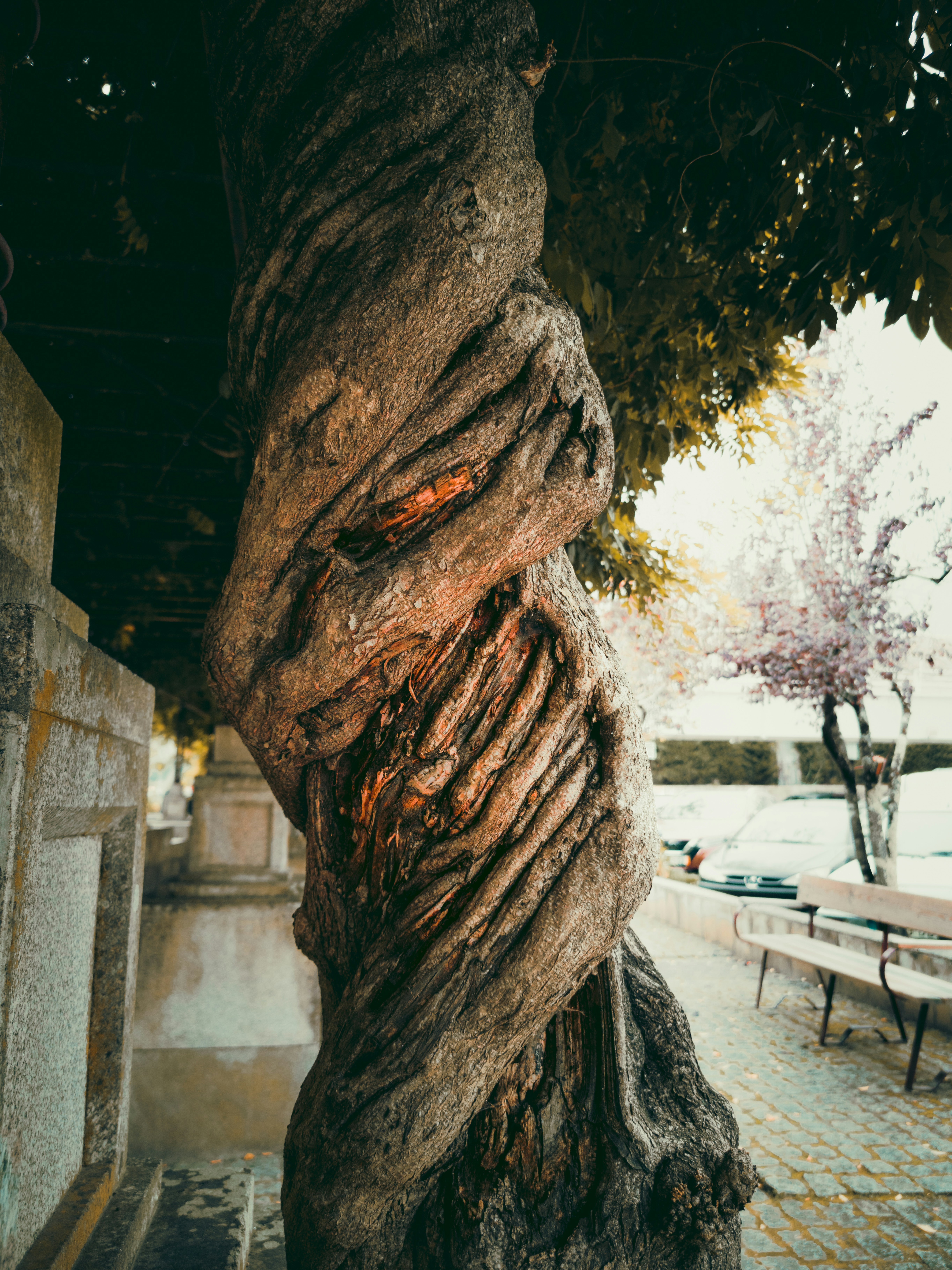 Photo by Tiago Ferreira with Huawei P30 Pro