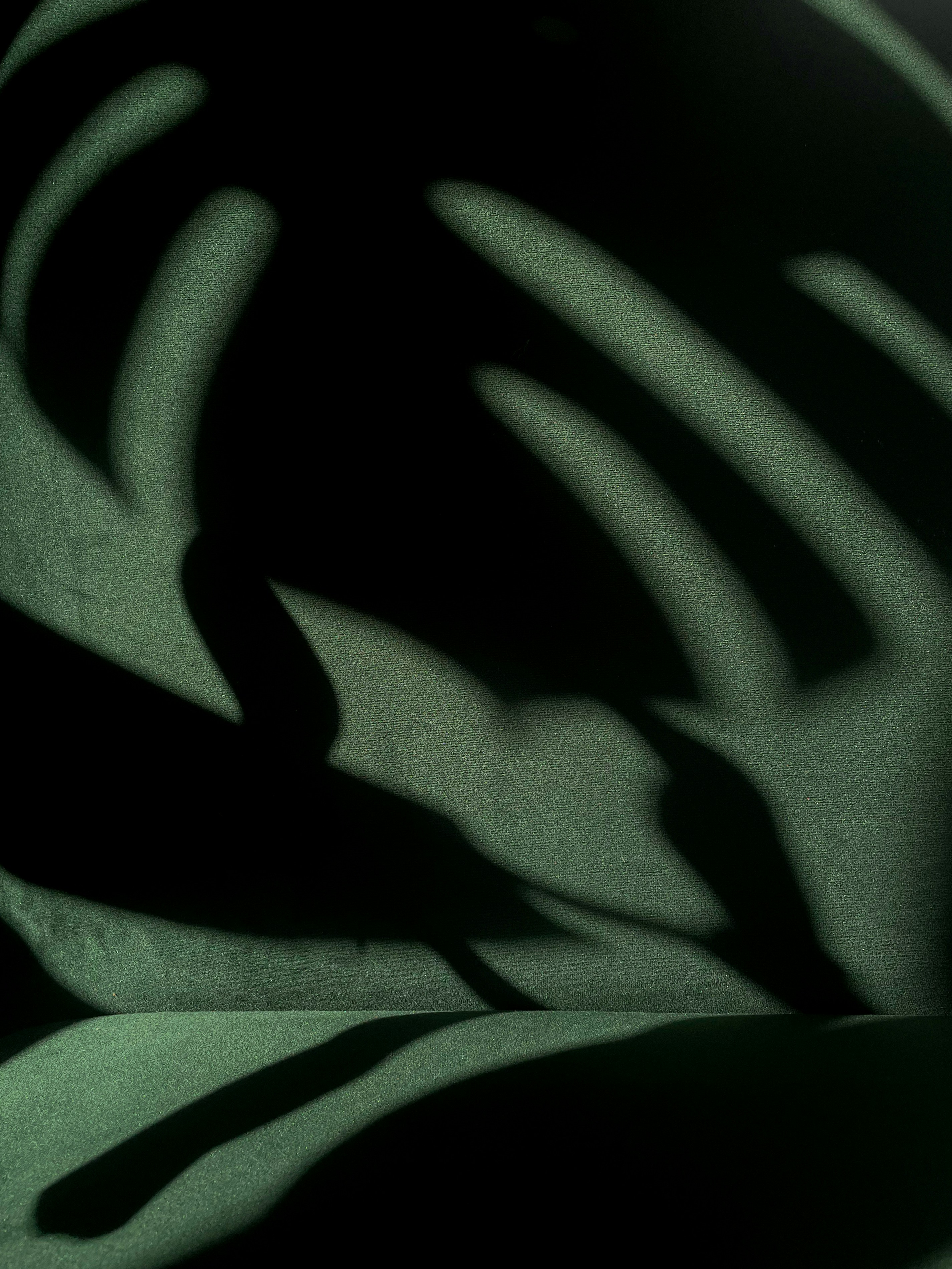 Emerald Silhouettes: Shadows Sculpting Green Fabric