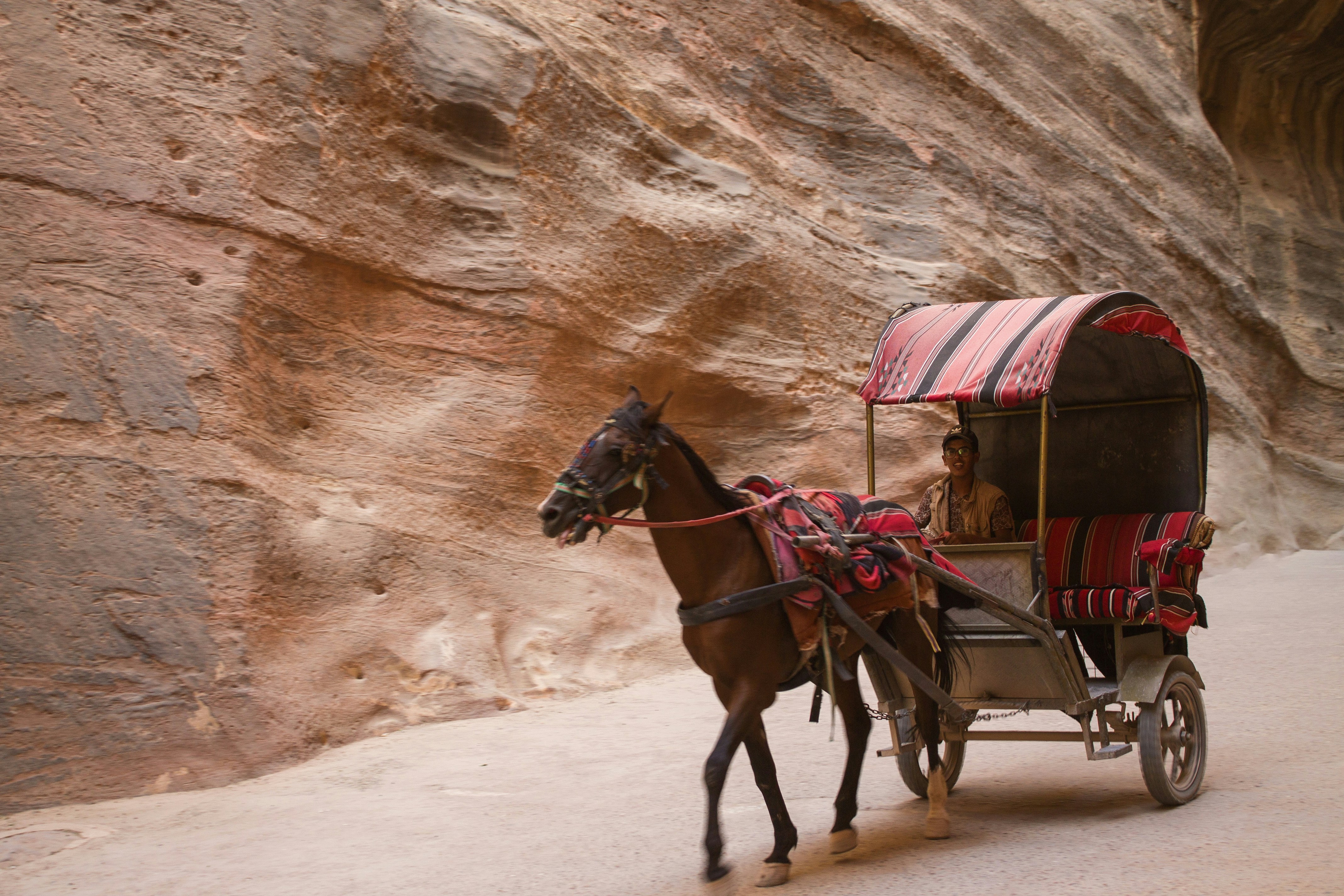 A horse pulling a cart photo – Free As siq Image on Unsplash