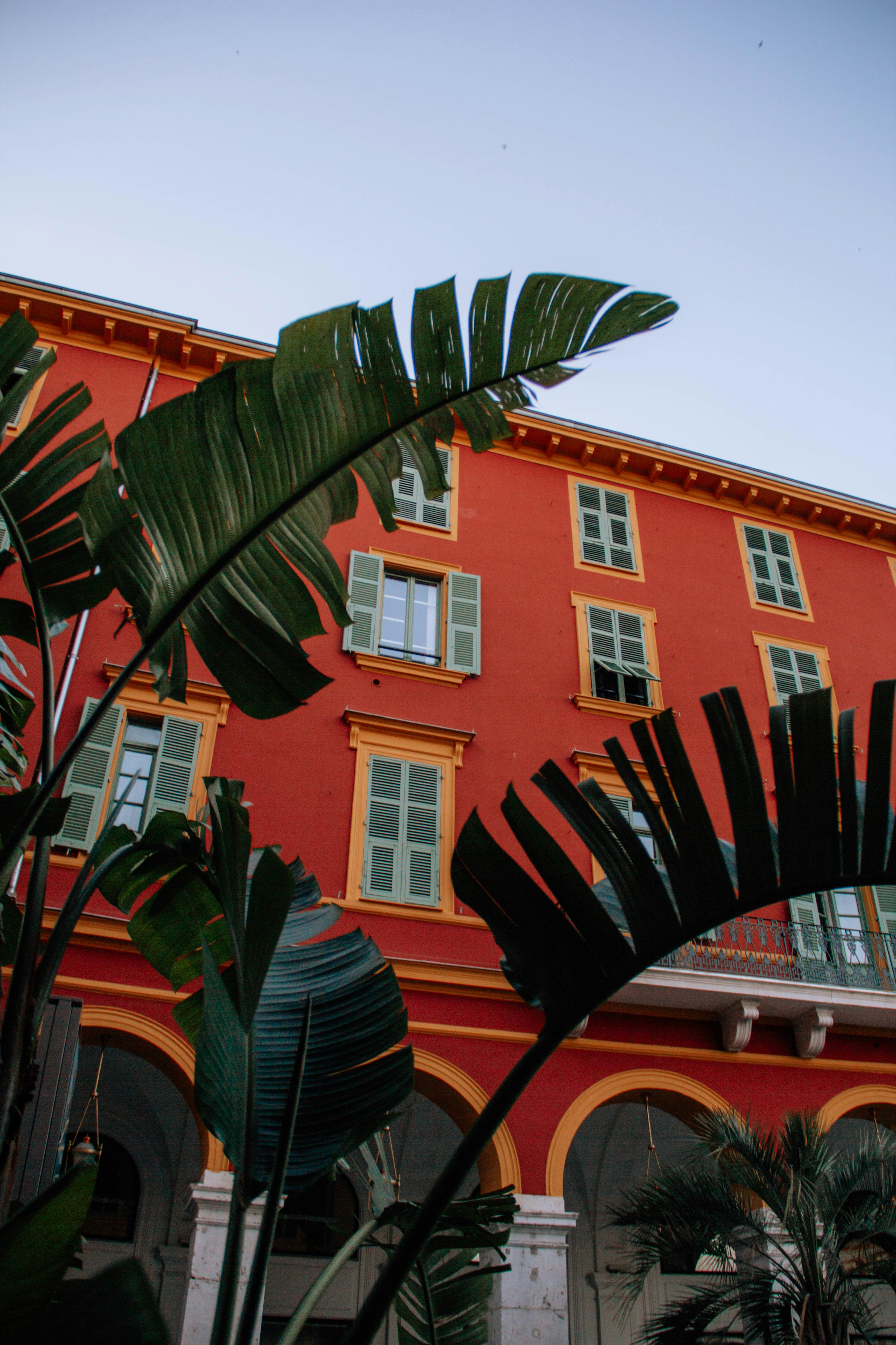Coral Facade in Bloom: Windows and Fronds Frame a Sunlit Courtyard