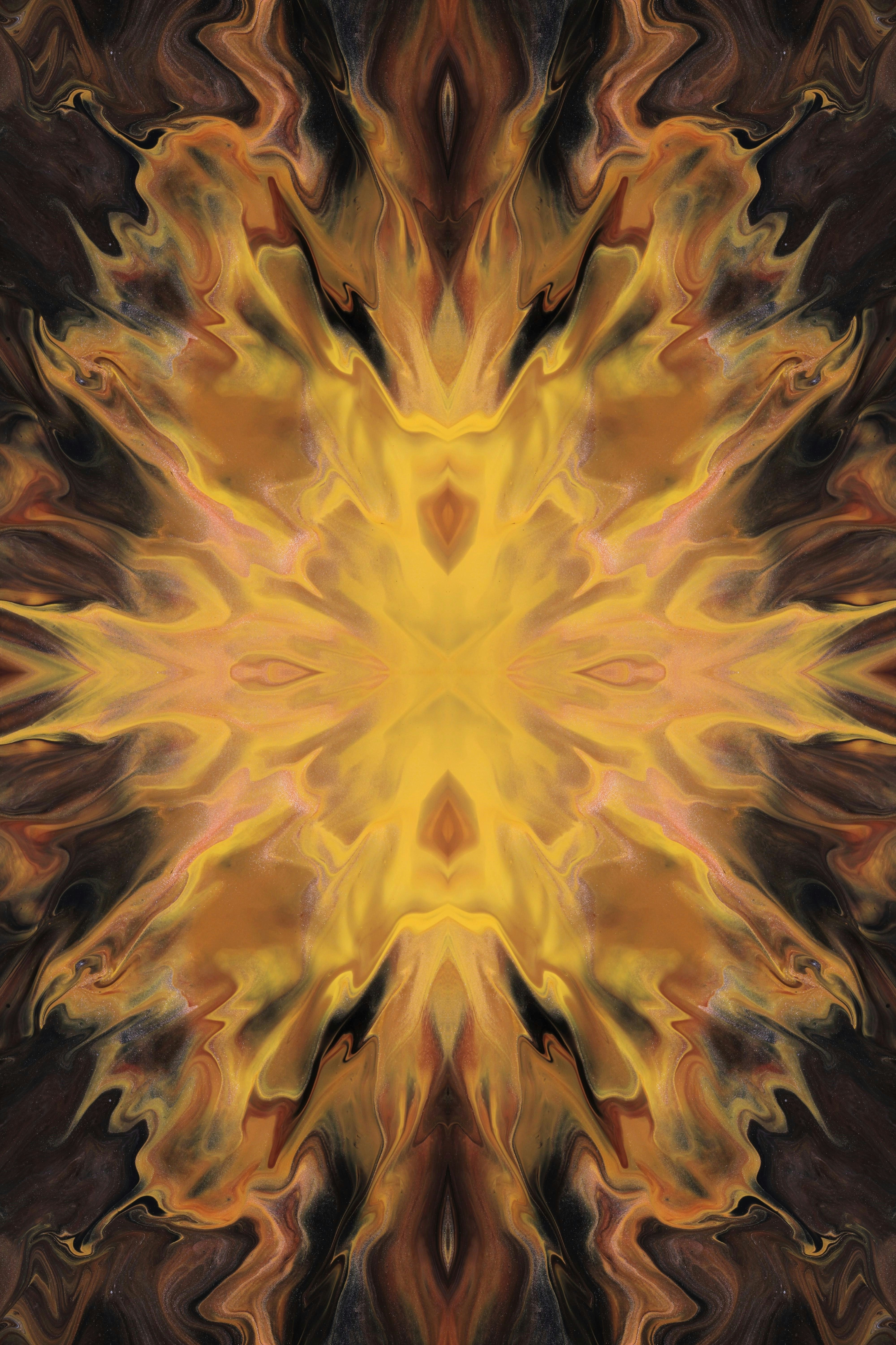 Phoenix - by Megan Pass - Anchoring the Codes