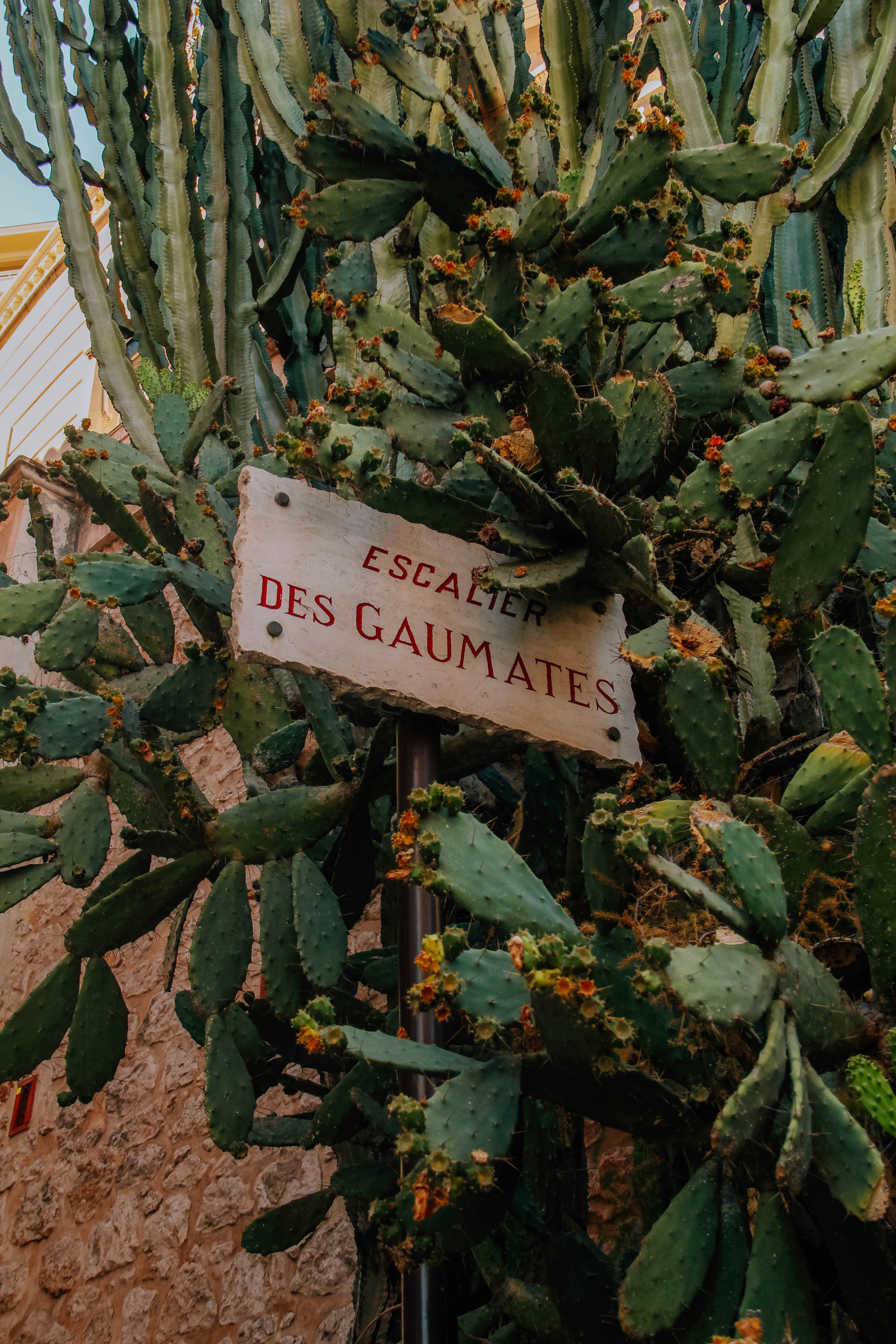 a sign in a garden