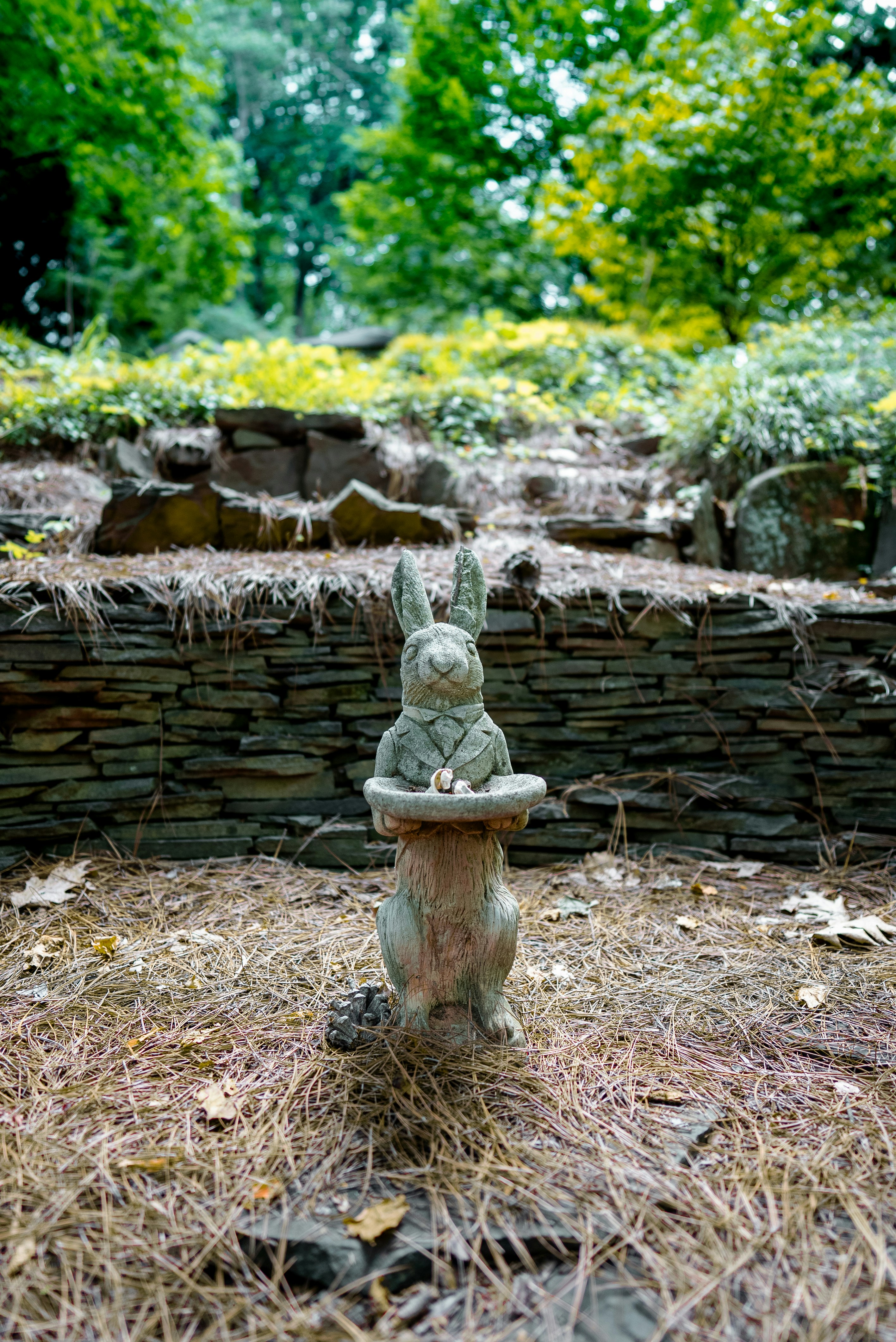 Stone Rabbit Sentinel at the Edge of a Quiet Stone Garden