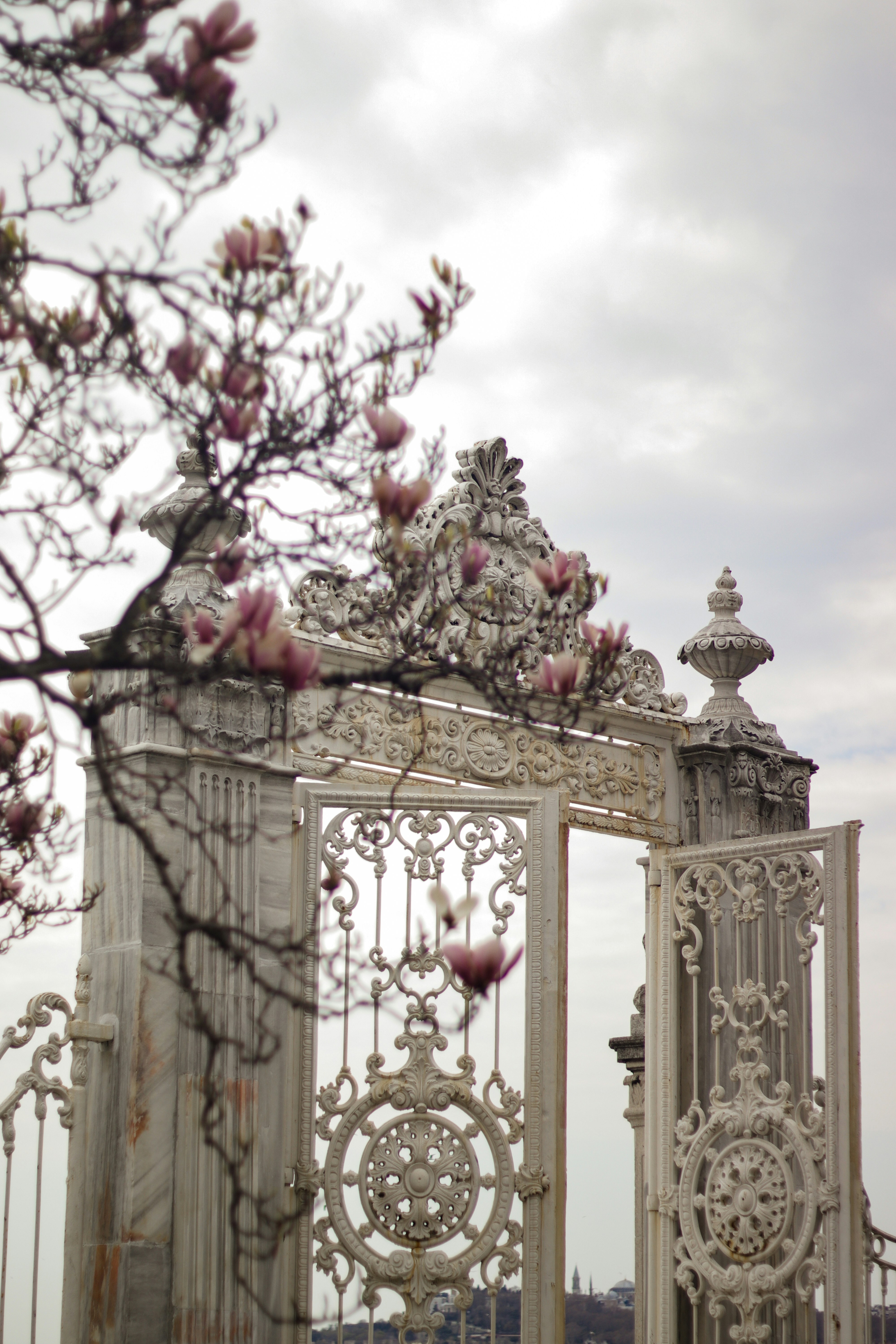 Lacework Gate Against a Clouded Sky, Framed by Blooming Branches