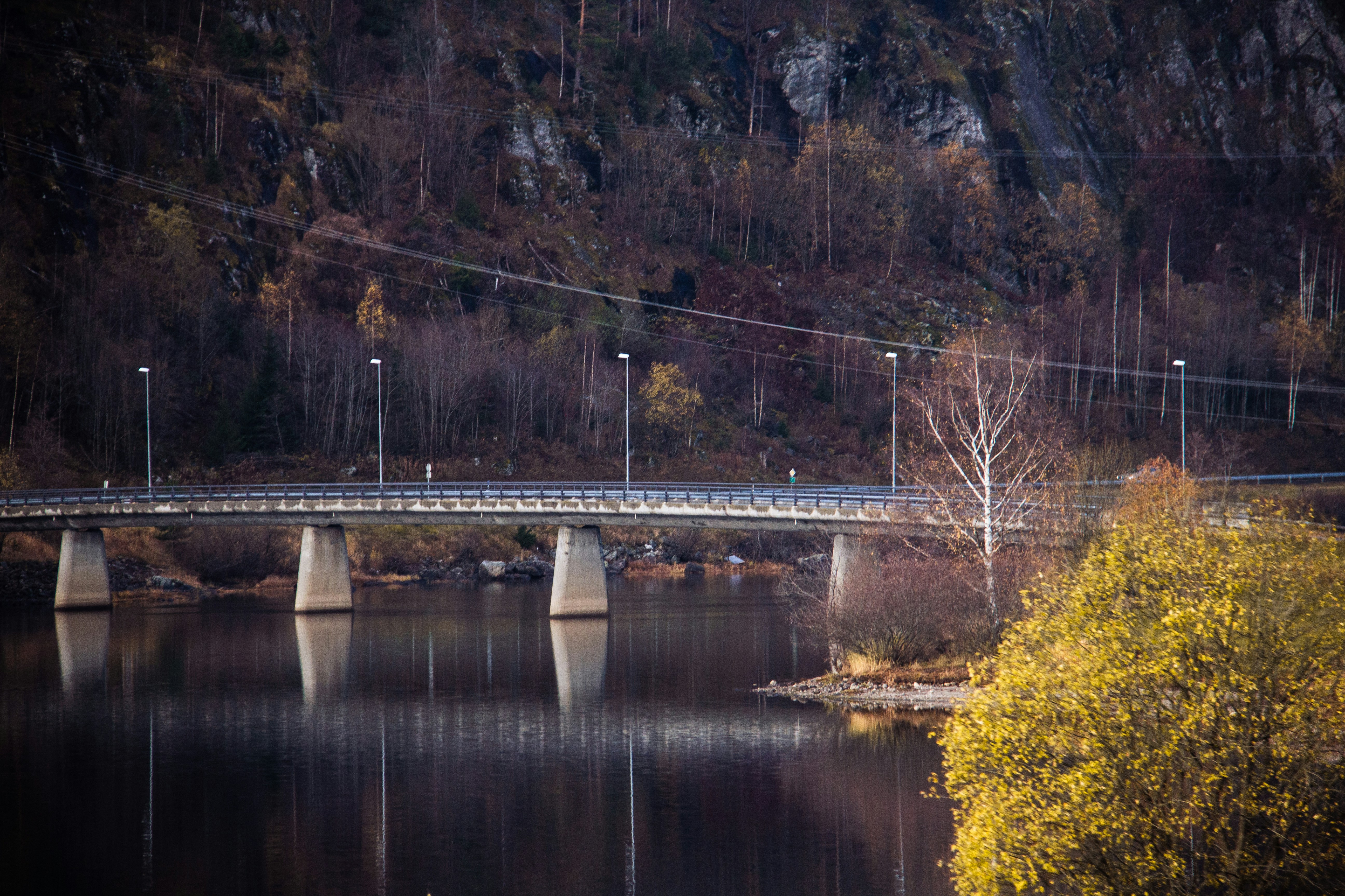 Bridge over a Calm Reflective Expanse