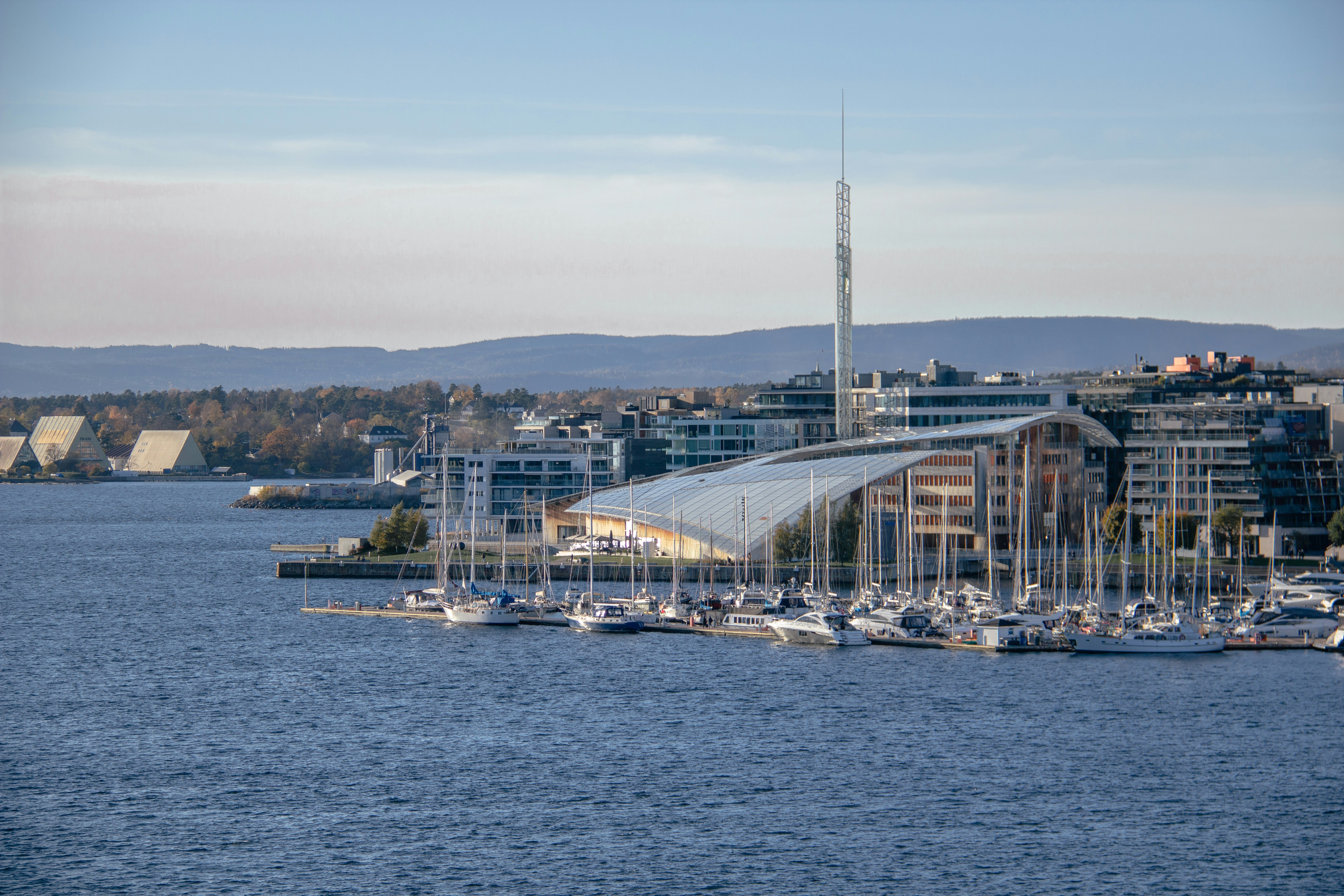 Marina Arc: The White Roof Framing a Quiet Waterfront