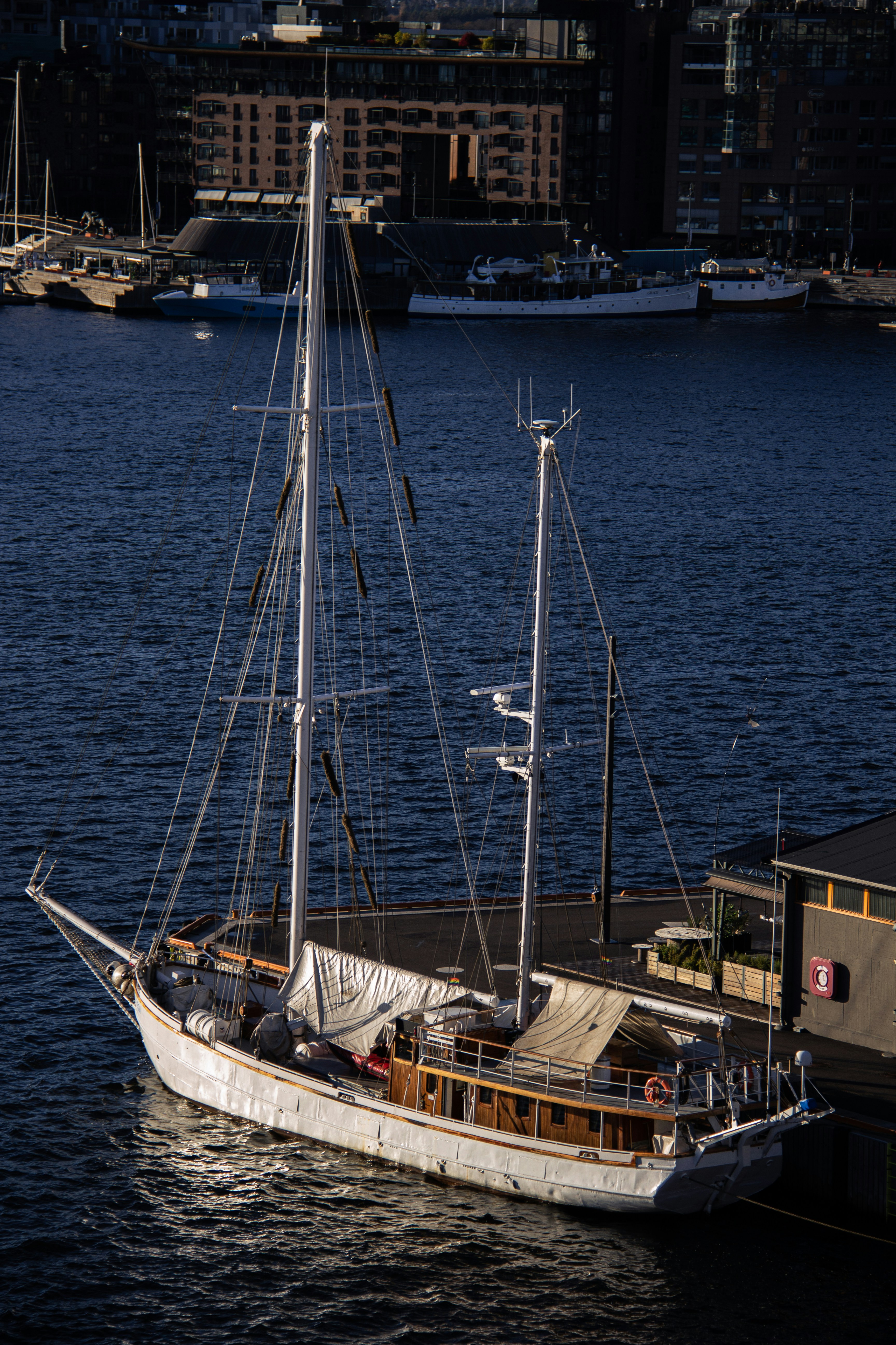 Foto Un velero atracado en un muelle – Imagen Zarpar gratis en Unsplash