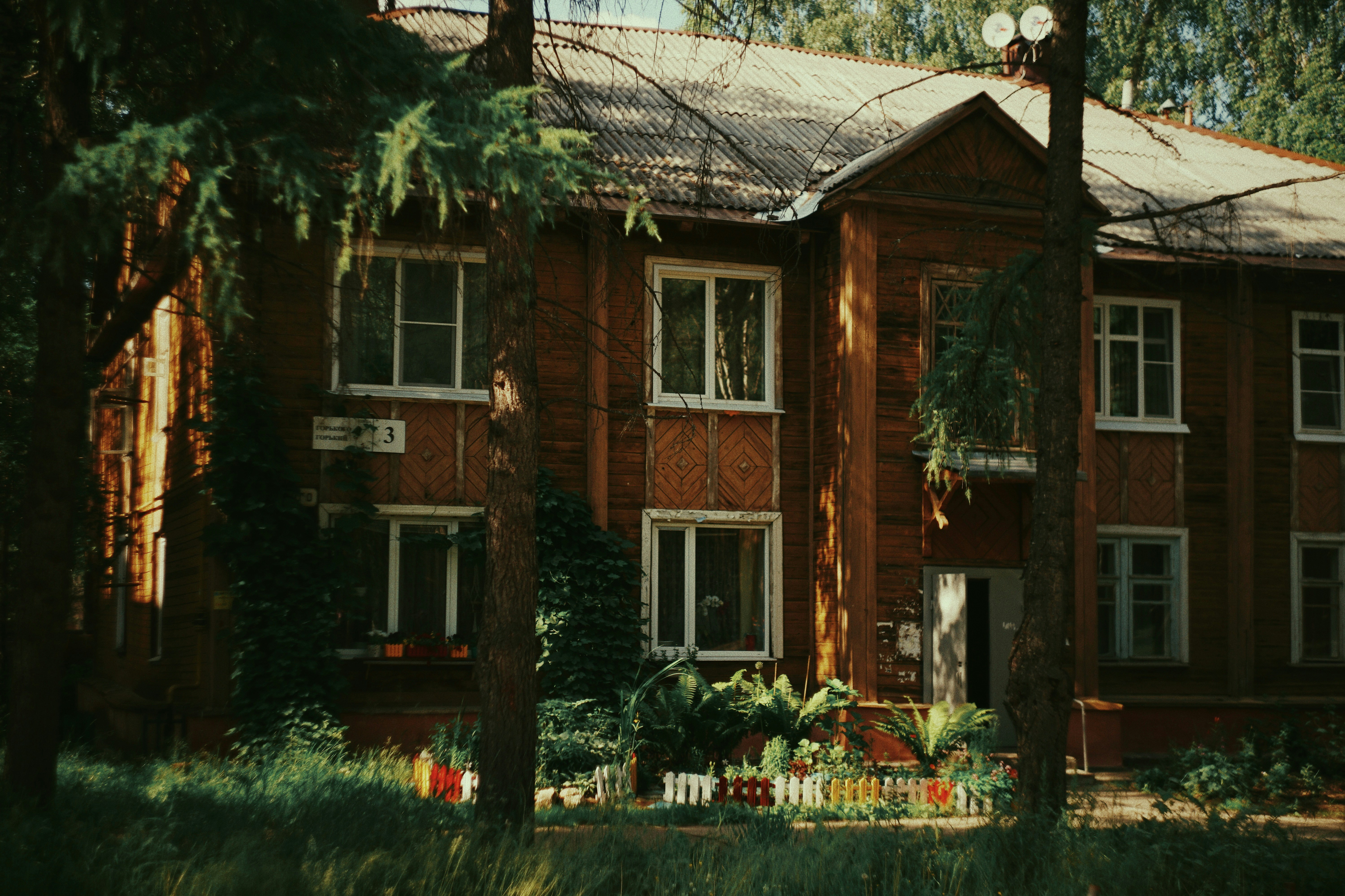 Charming wooden building surrounded by lush greenery, featuring large windows and vibrant plants in the foreground.
