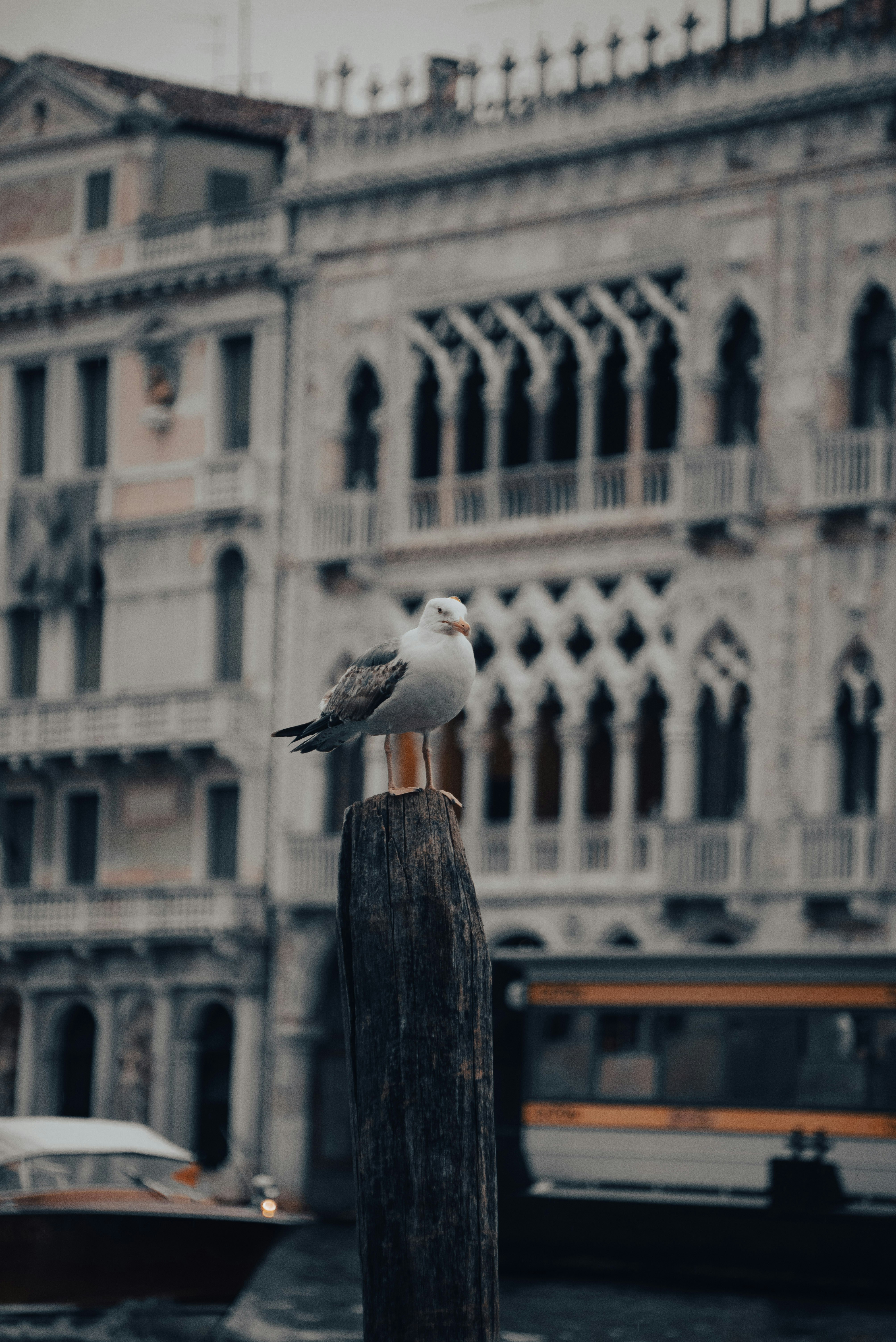 a bird sitting on a post