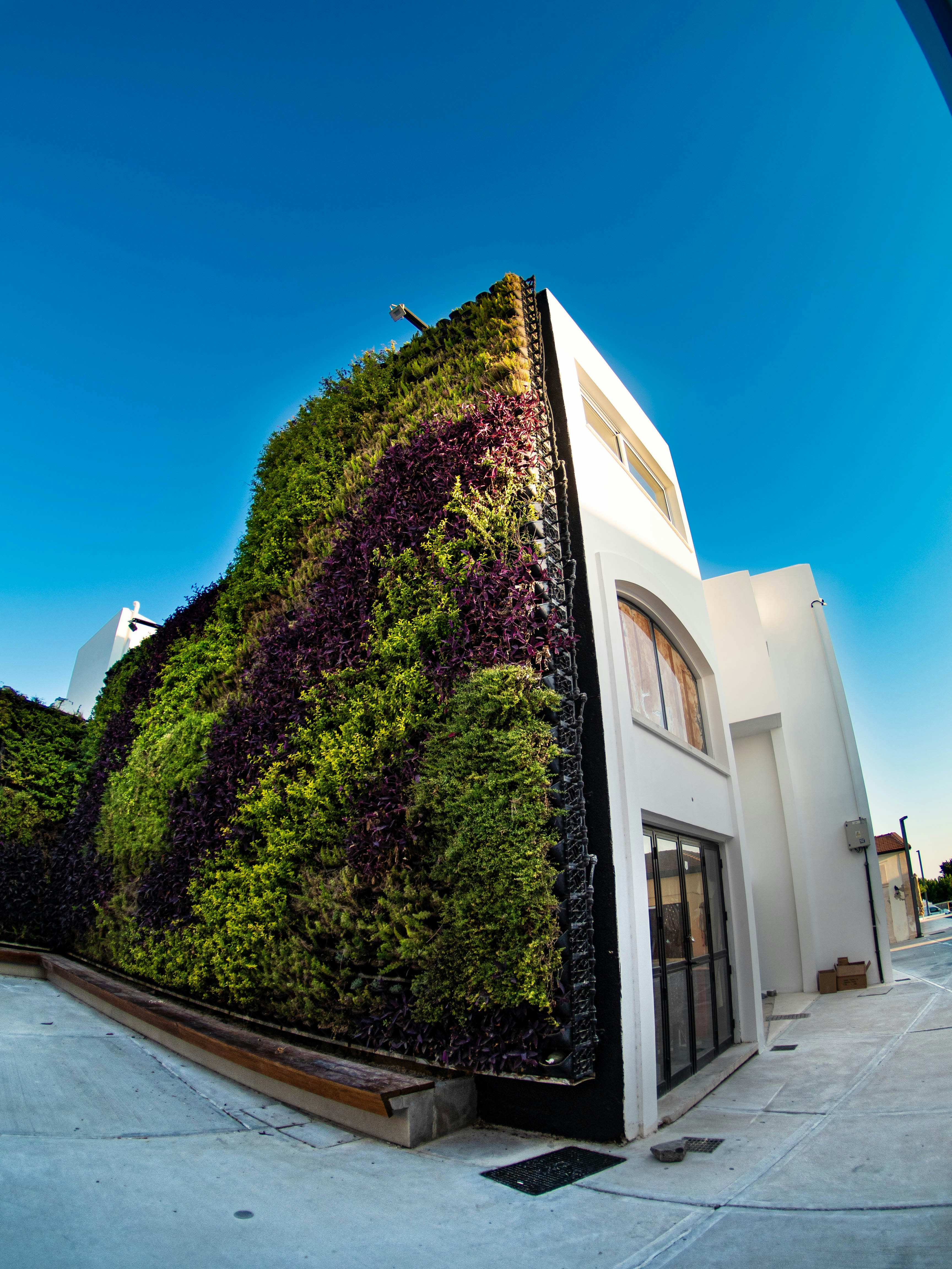 A building with a large hedge photo – Free Old town of paphos Image on ...