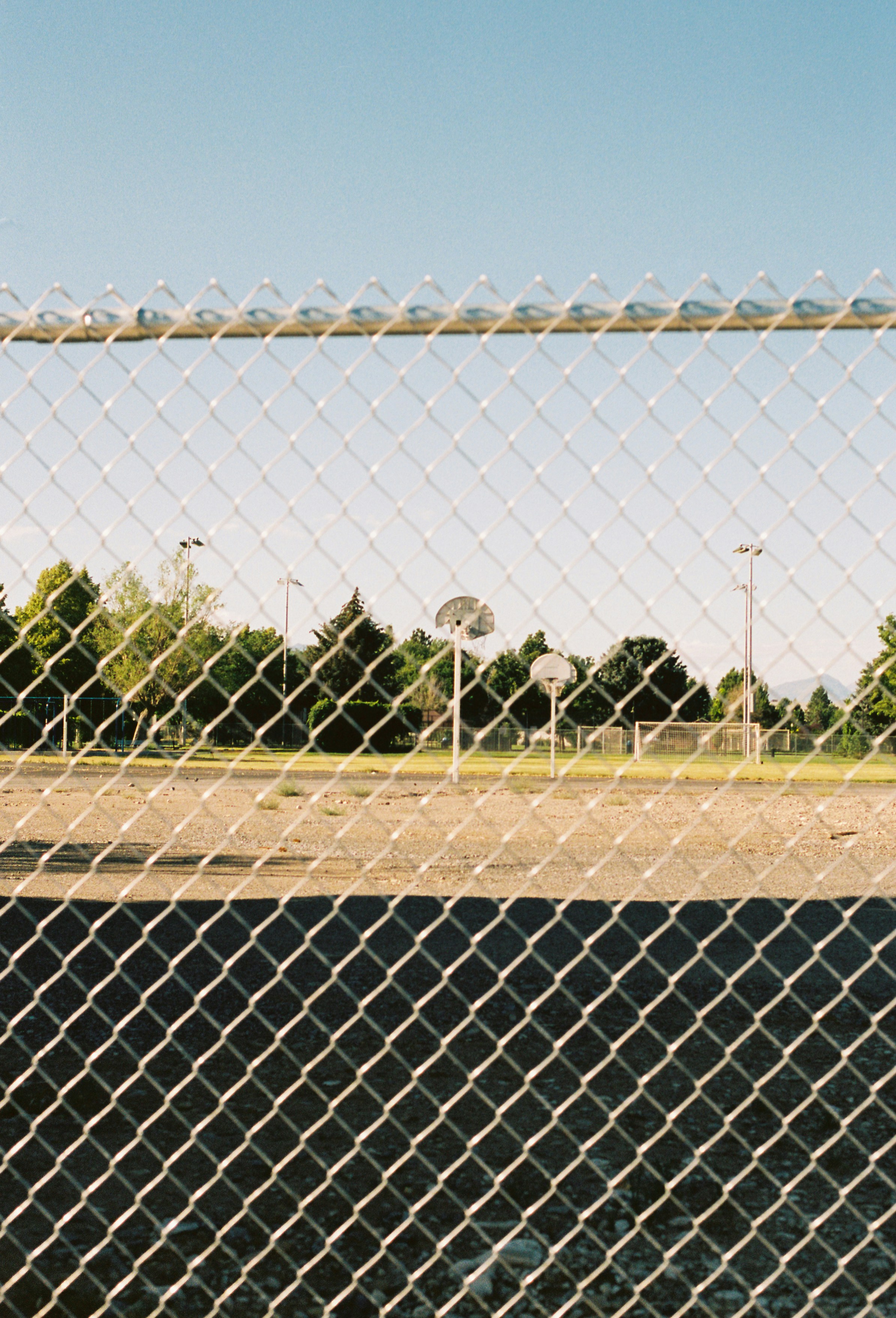 A fenced off field with a wire fence and trees in the background photo ...