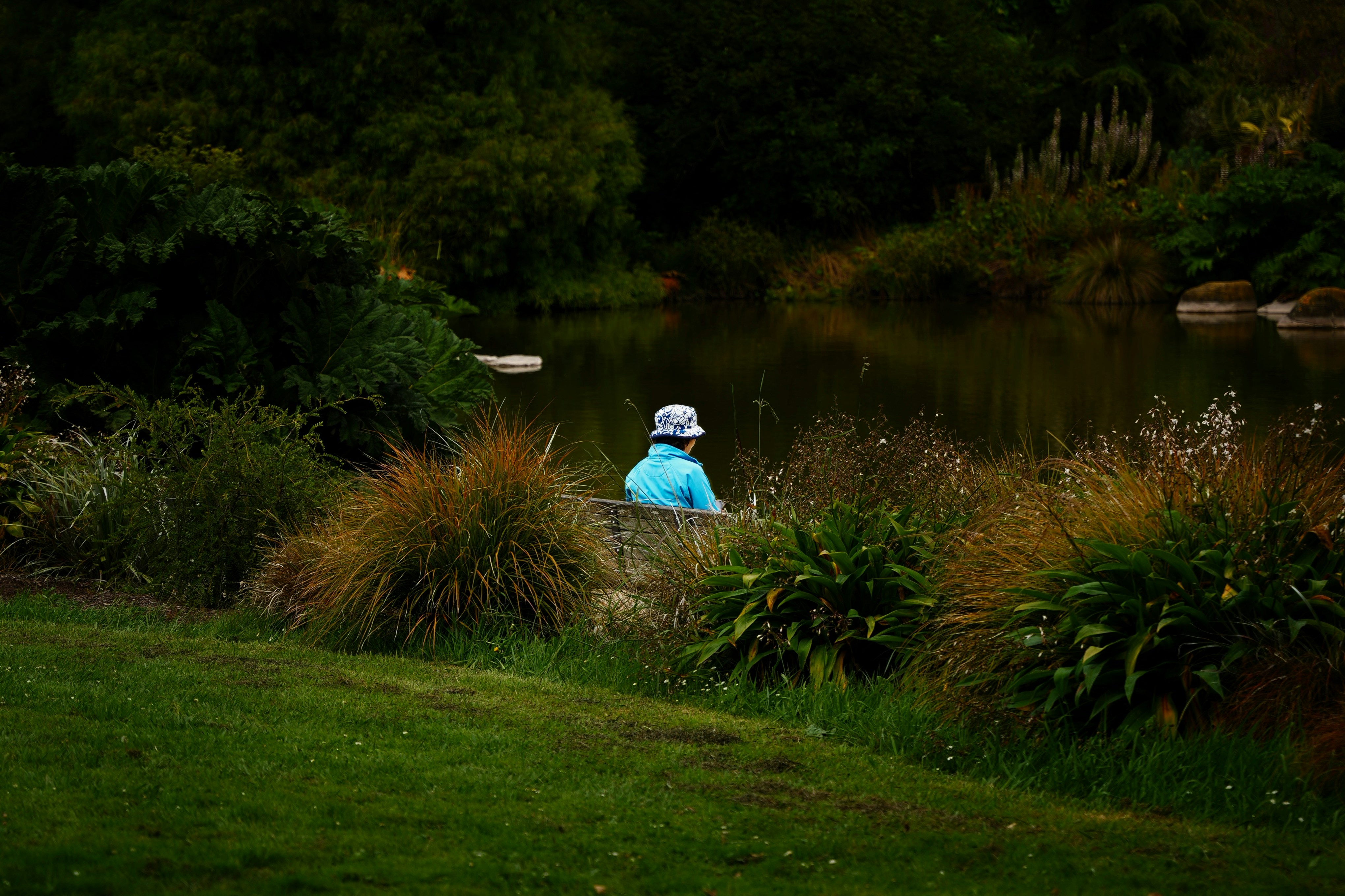 Una persona sentada en un bote en la orilla de un río foto – Imagen de ...