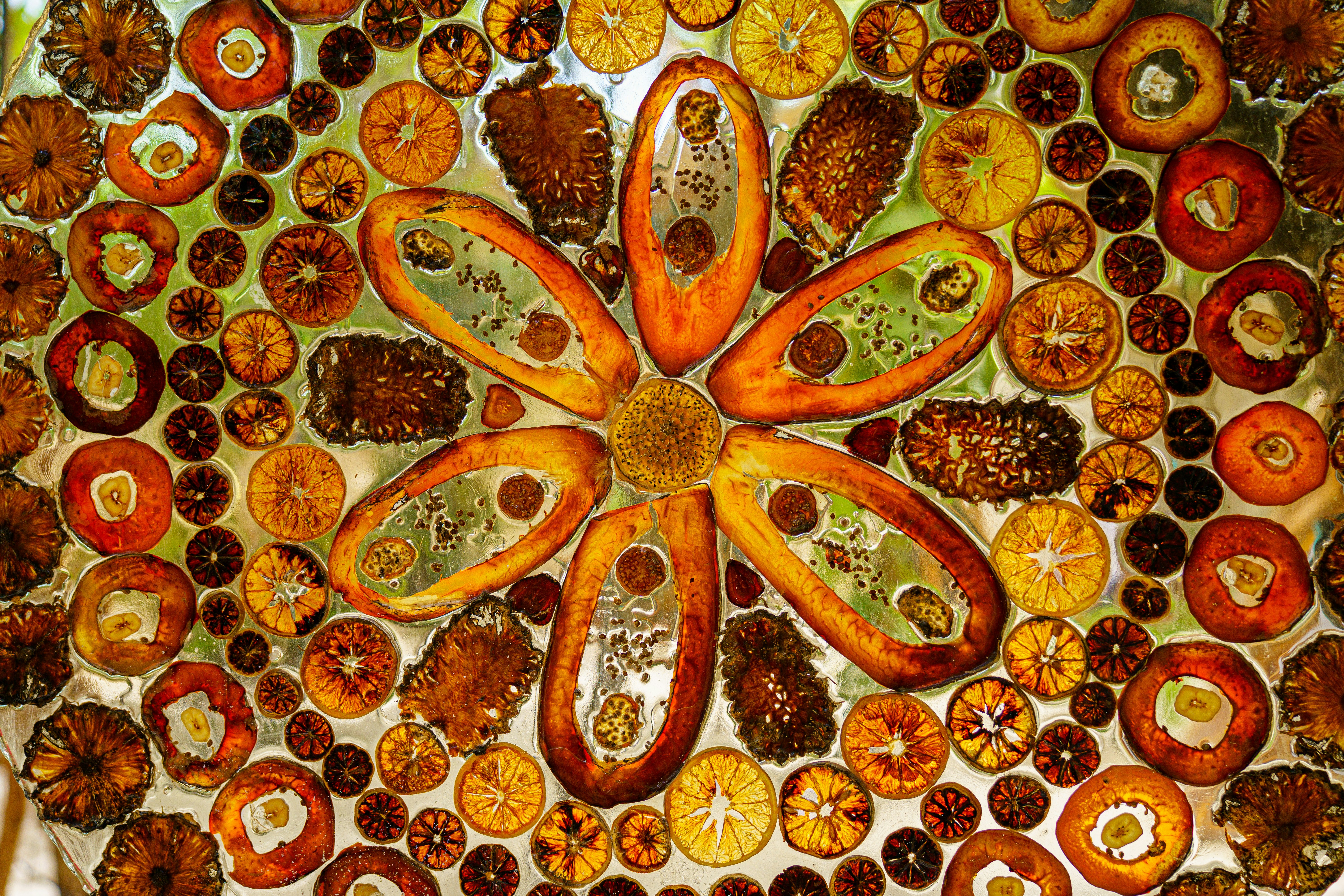 A group of colorful shells photo – Free Tulum Image on Unsplash