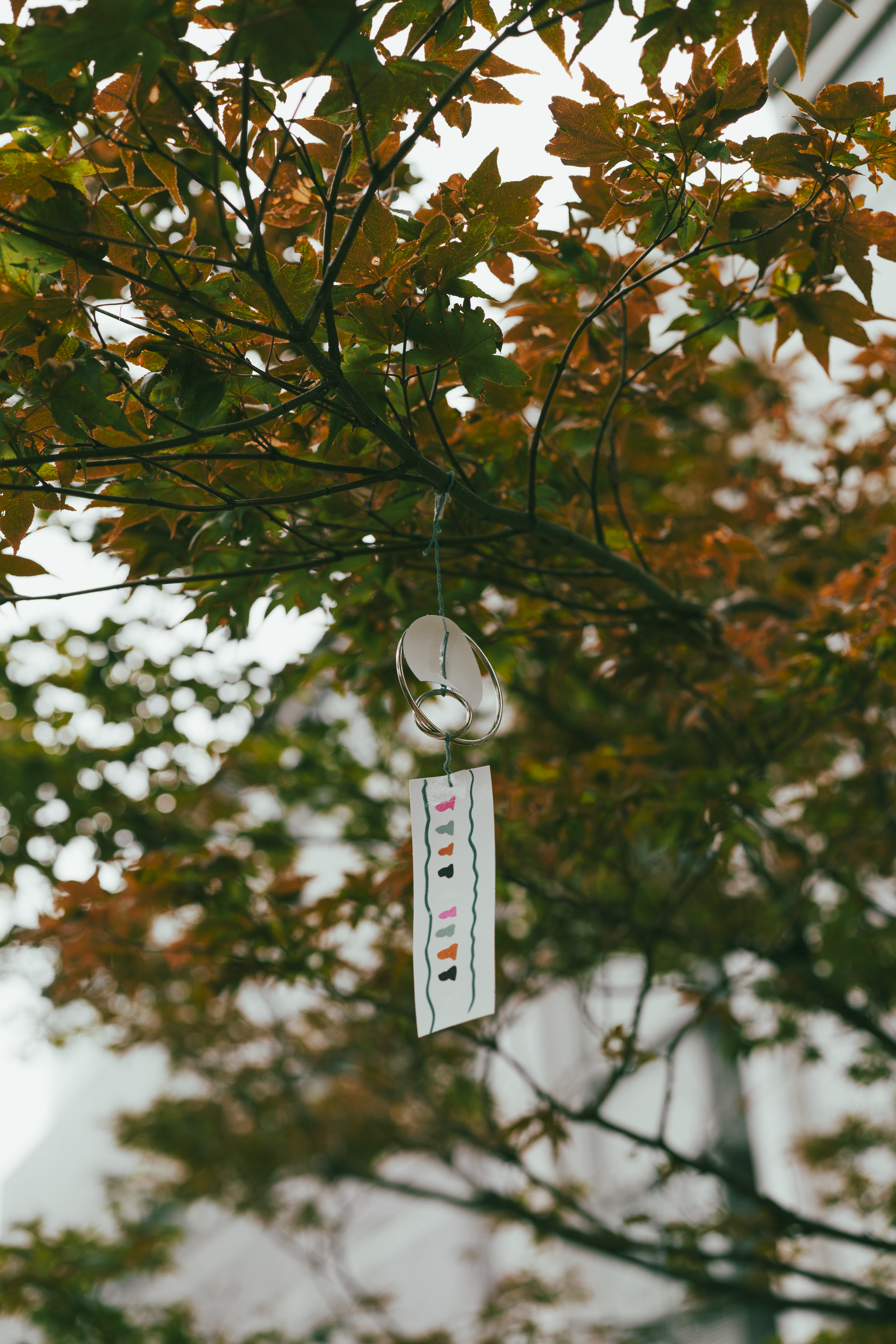 Hanging Charm Under Autumn Canopy