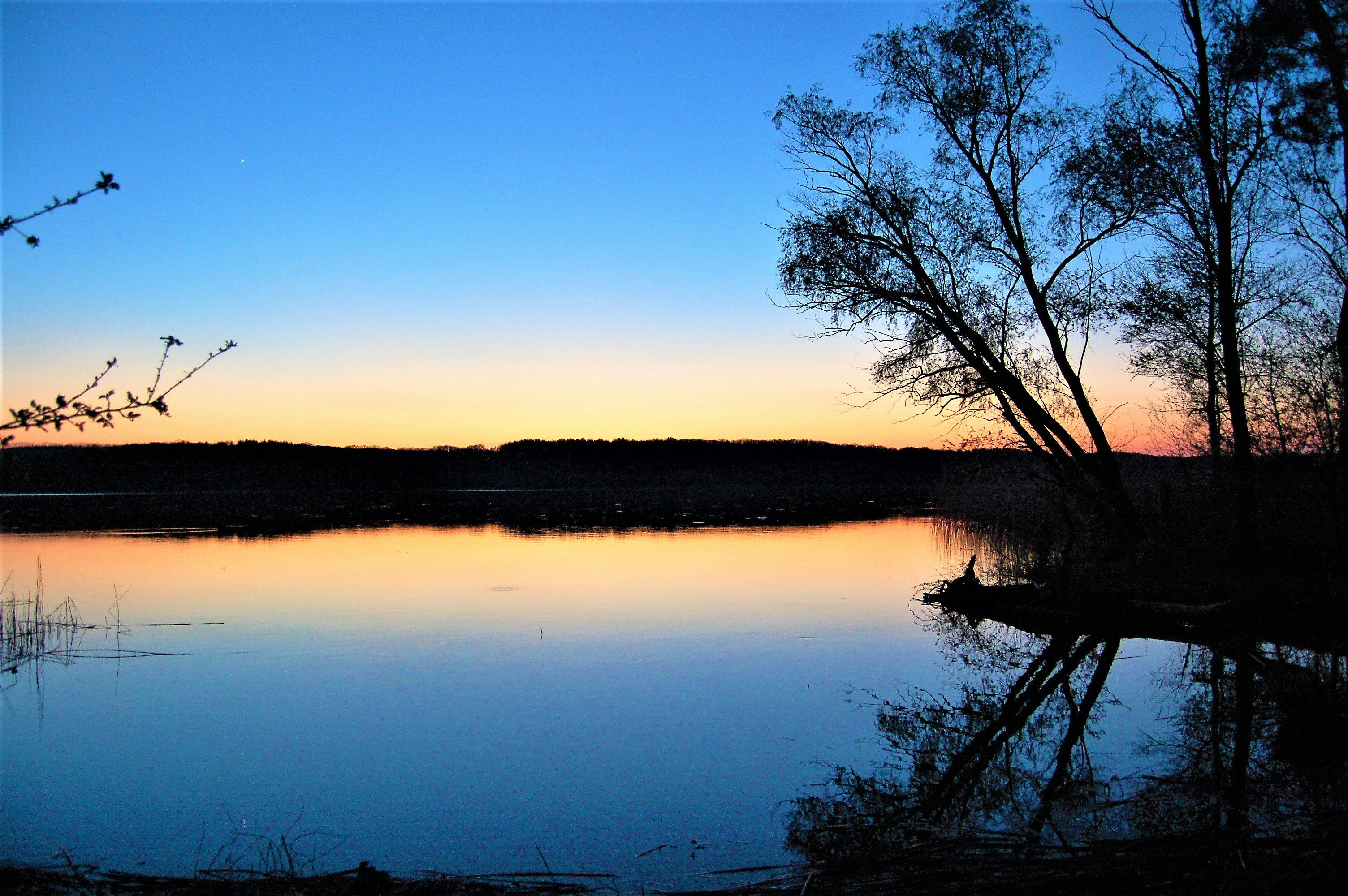 Silhouetted trees against a vivid sunset sky reflected in a calm lake.