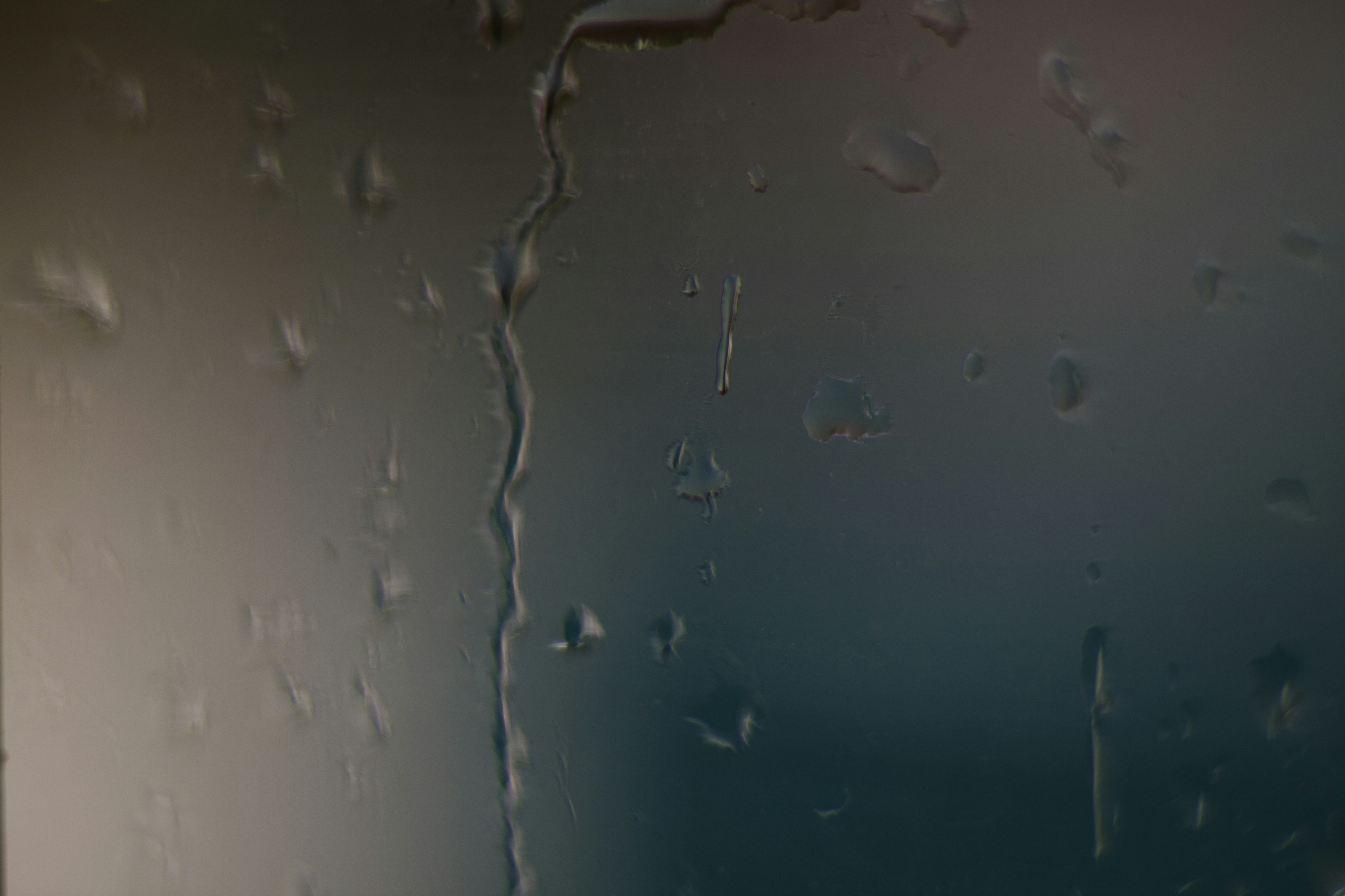 A close up of water drops photo – Free Rain Image on Unsplash