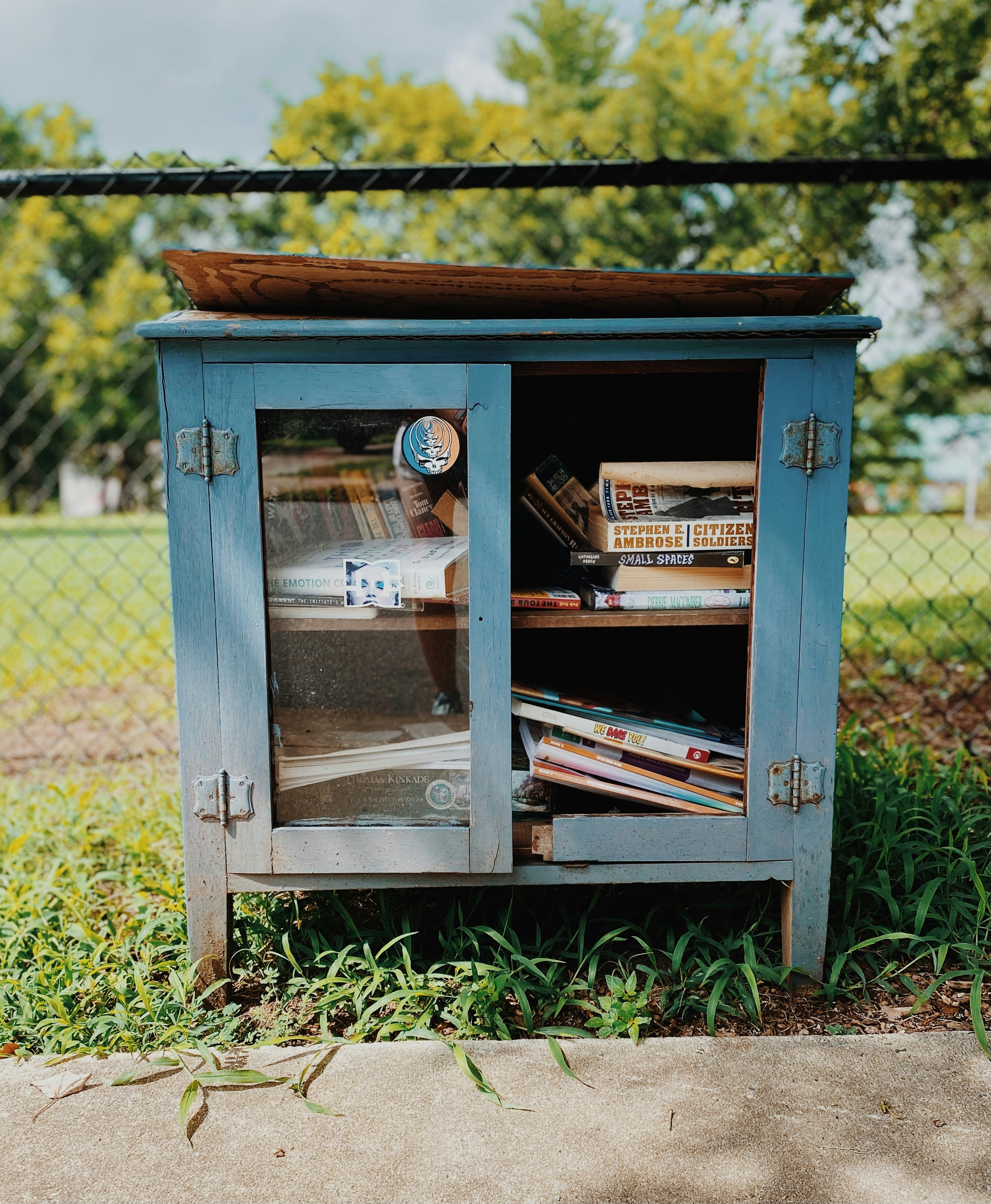Blue Library Box by the Fence: A Sunlit Park Hideaway