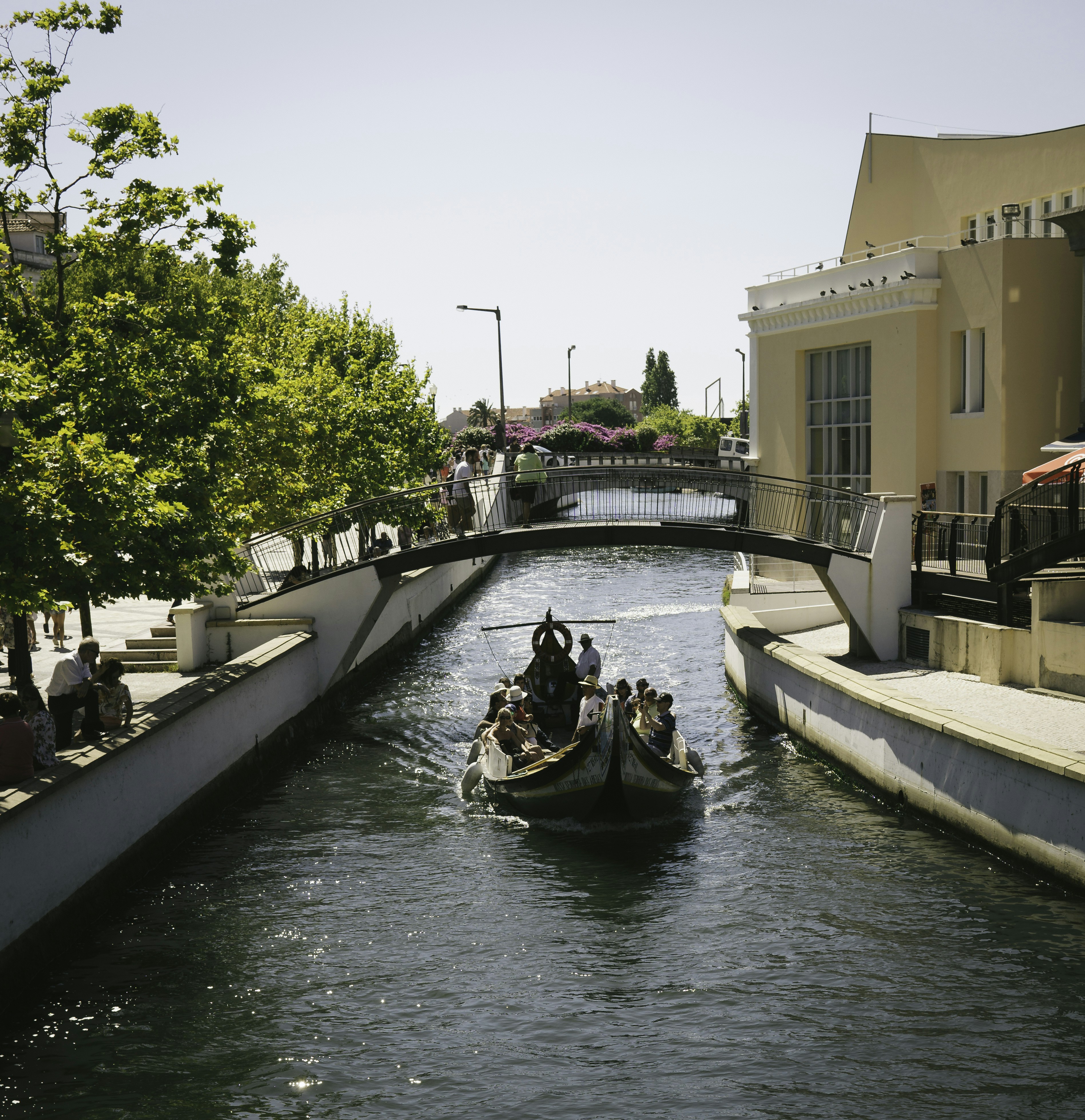 Sunlit Canal Drift Under a Quiet City Bridge