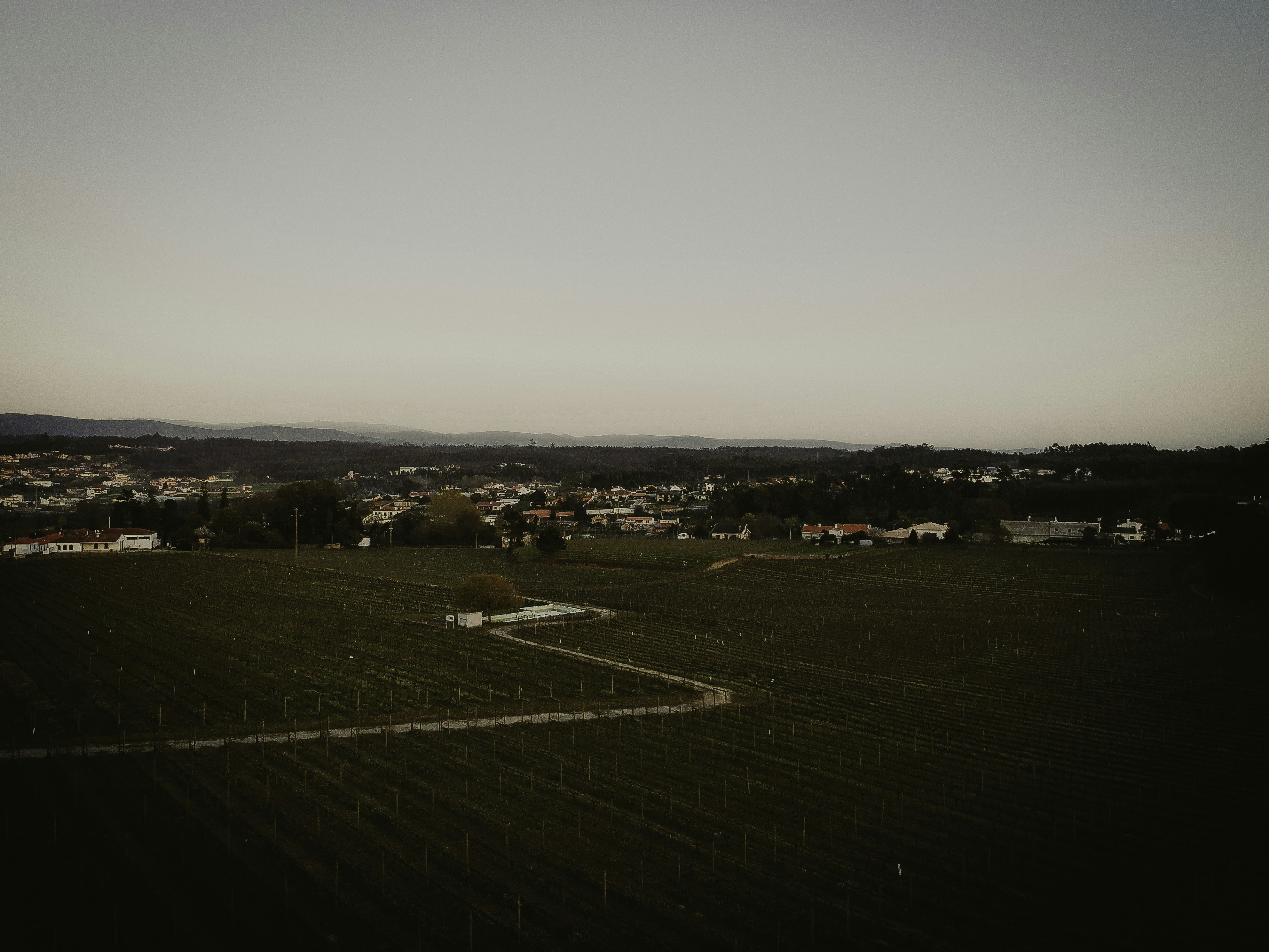 Vineyard Horizon: A Quiet Village Still Life from Above