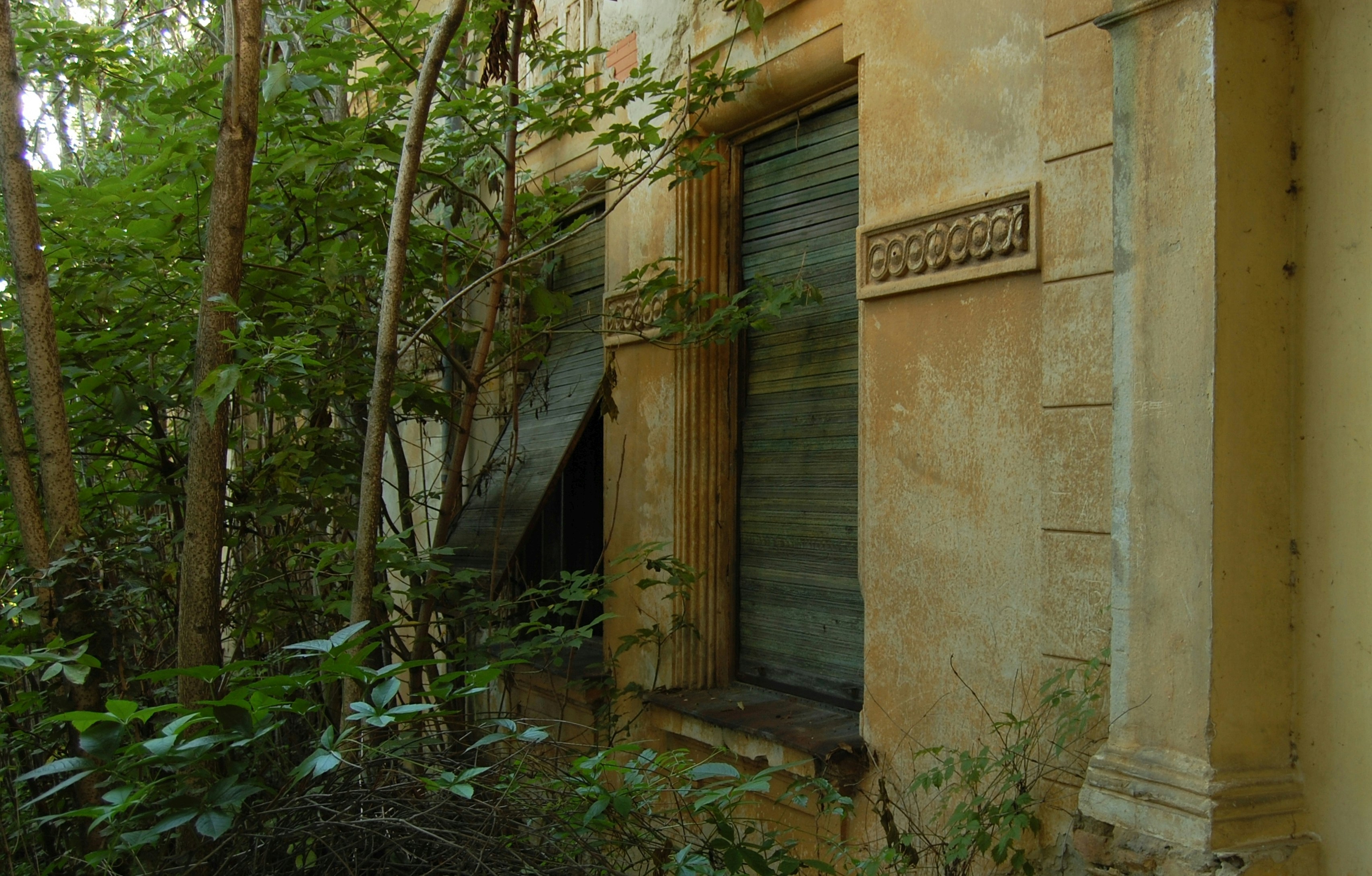 Overgrown Facade: Window Between Columns