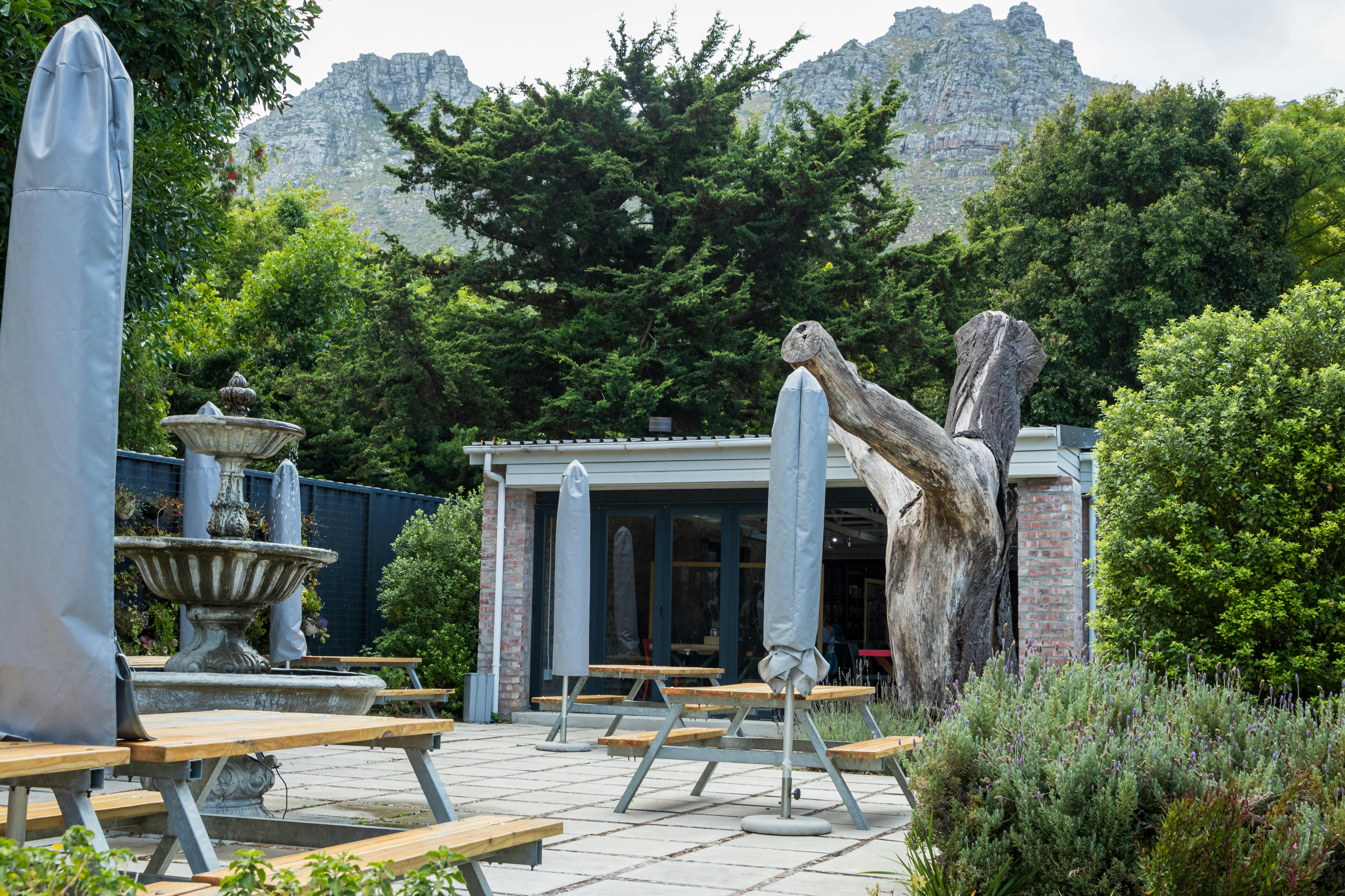 Courtyard Vista: Picnic Benches, Closed Umbrellas, and a Mountain Backdrop