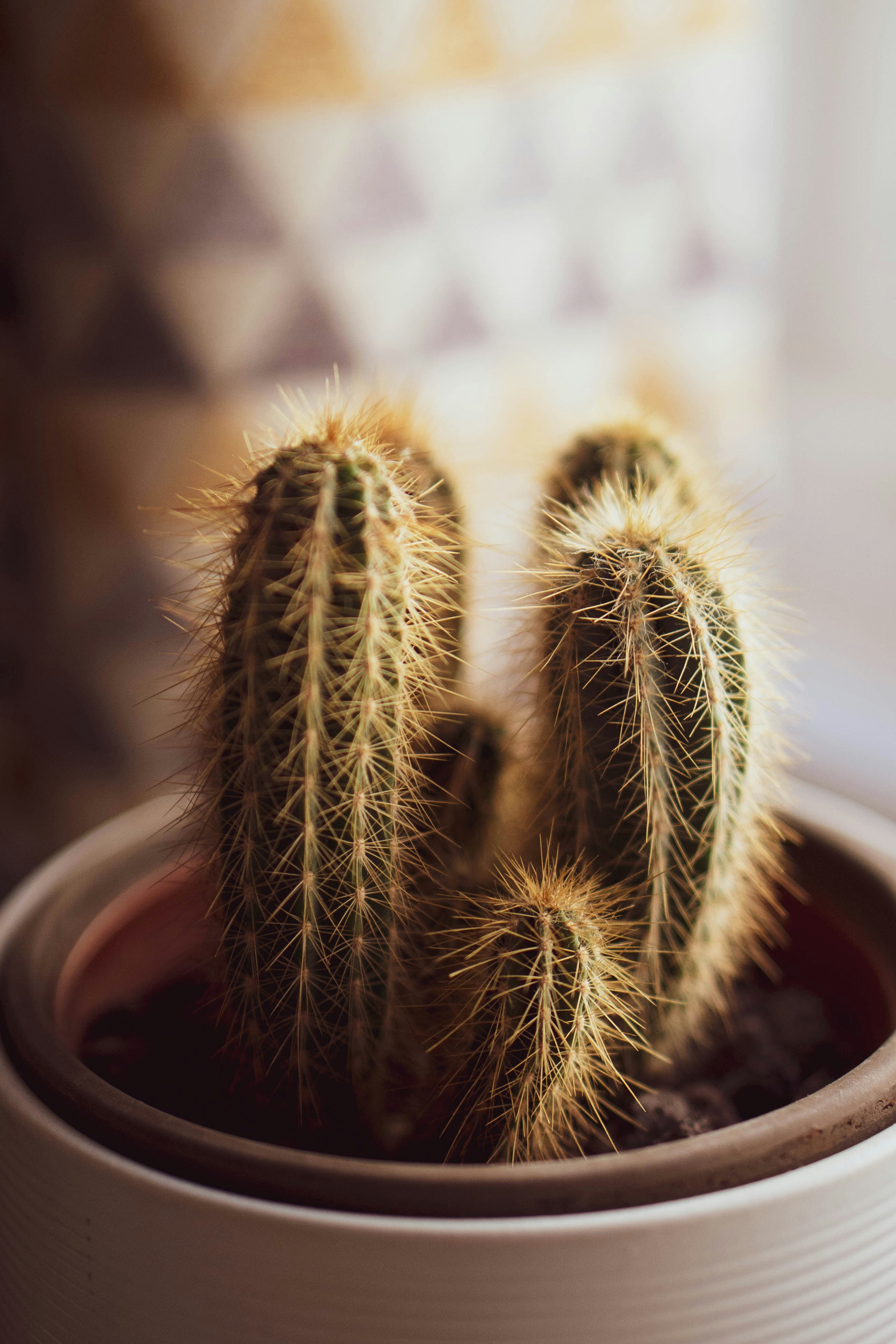 Warm Background Images - Free HD & 4K Downloads on Unsplash