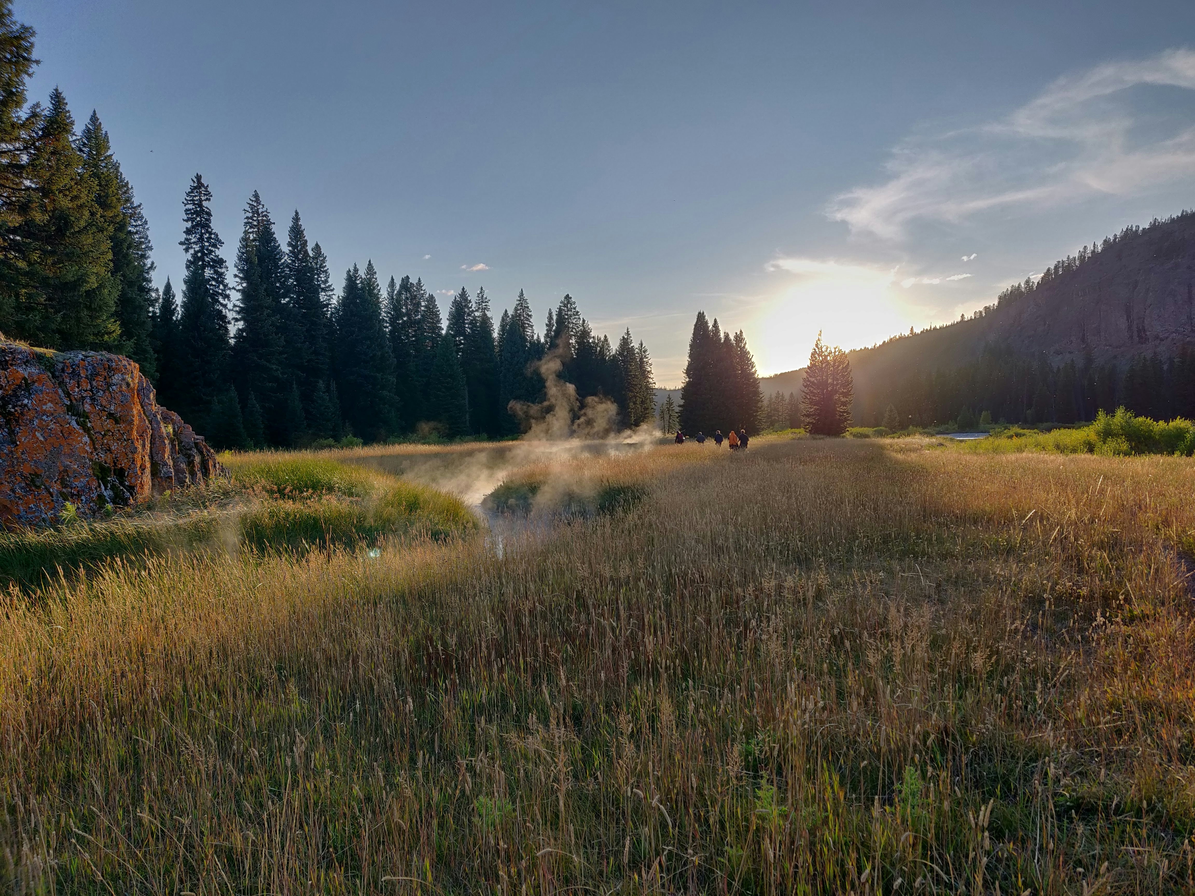Evening Haze Over a Pine-Fringed Meadow