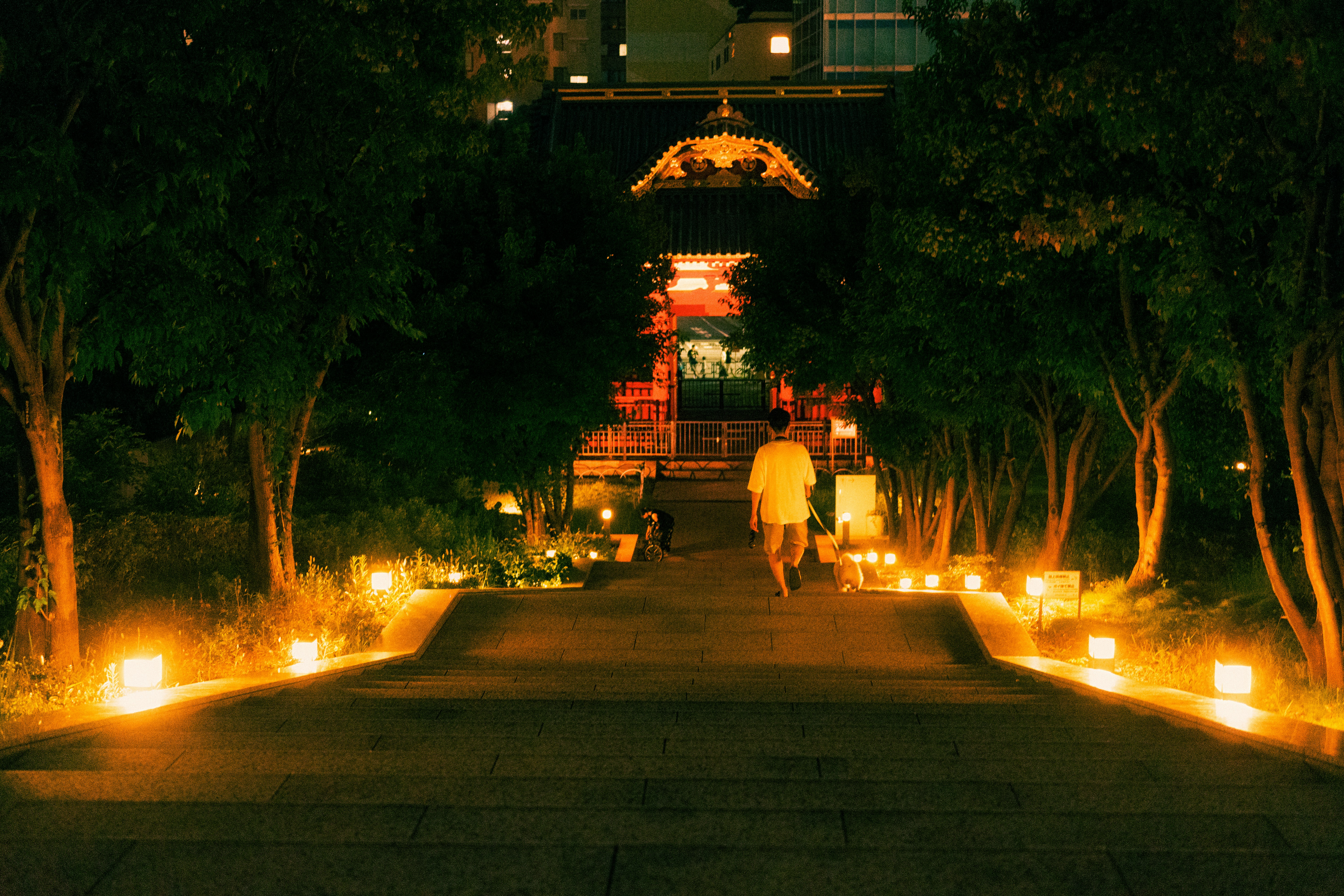 Lantern-Lit Ascent: Night Walk to the Temple Gate