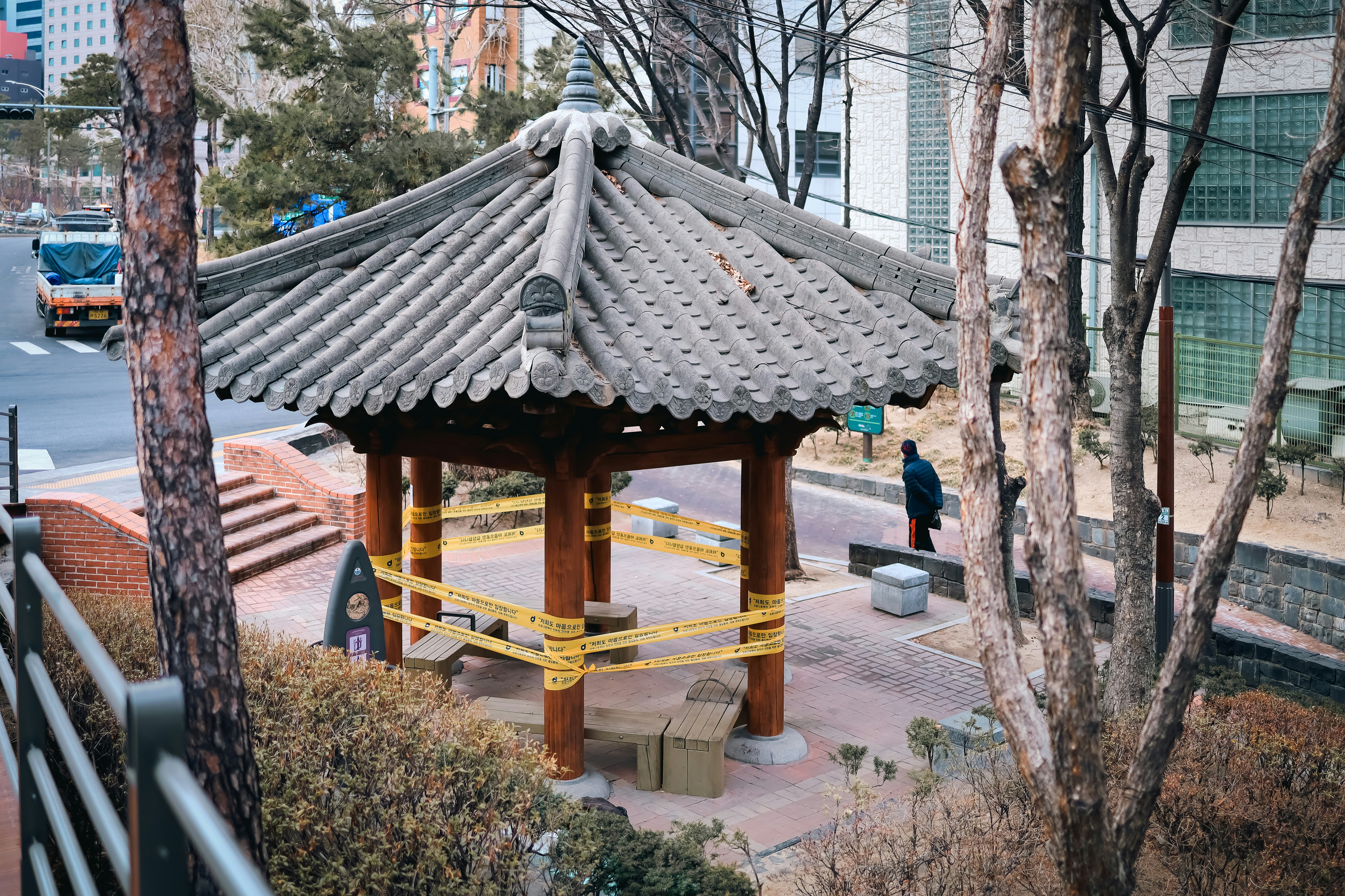 Serenity Amidst Urban Life