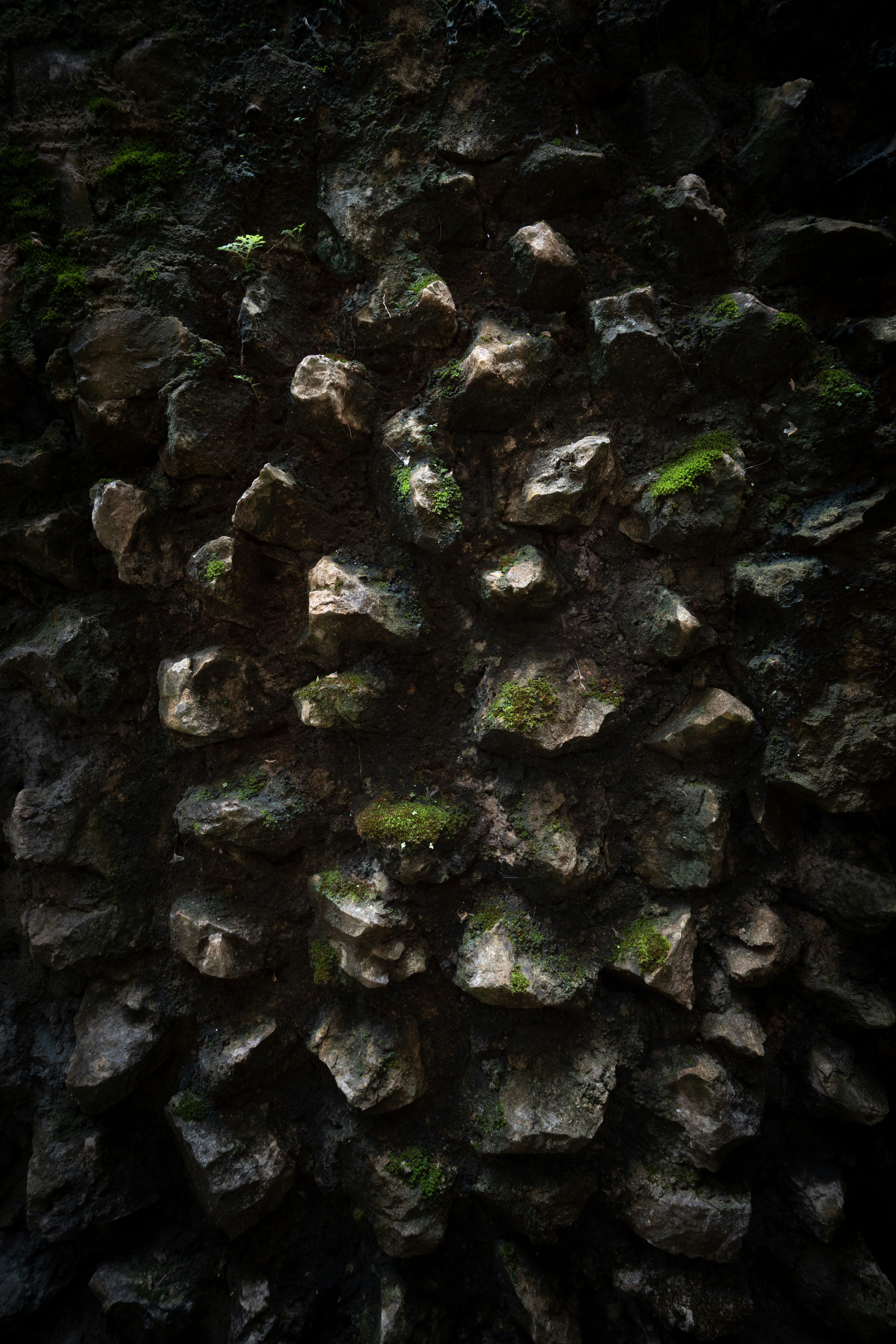 Rock formation covered in patches of green moss, creating a textured natural pattern.