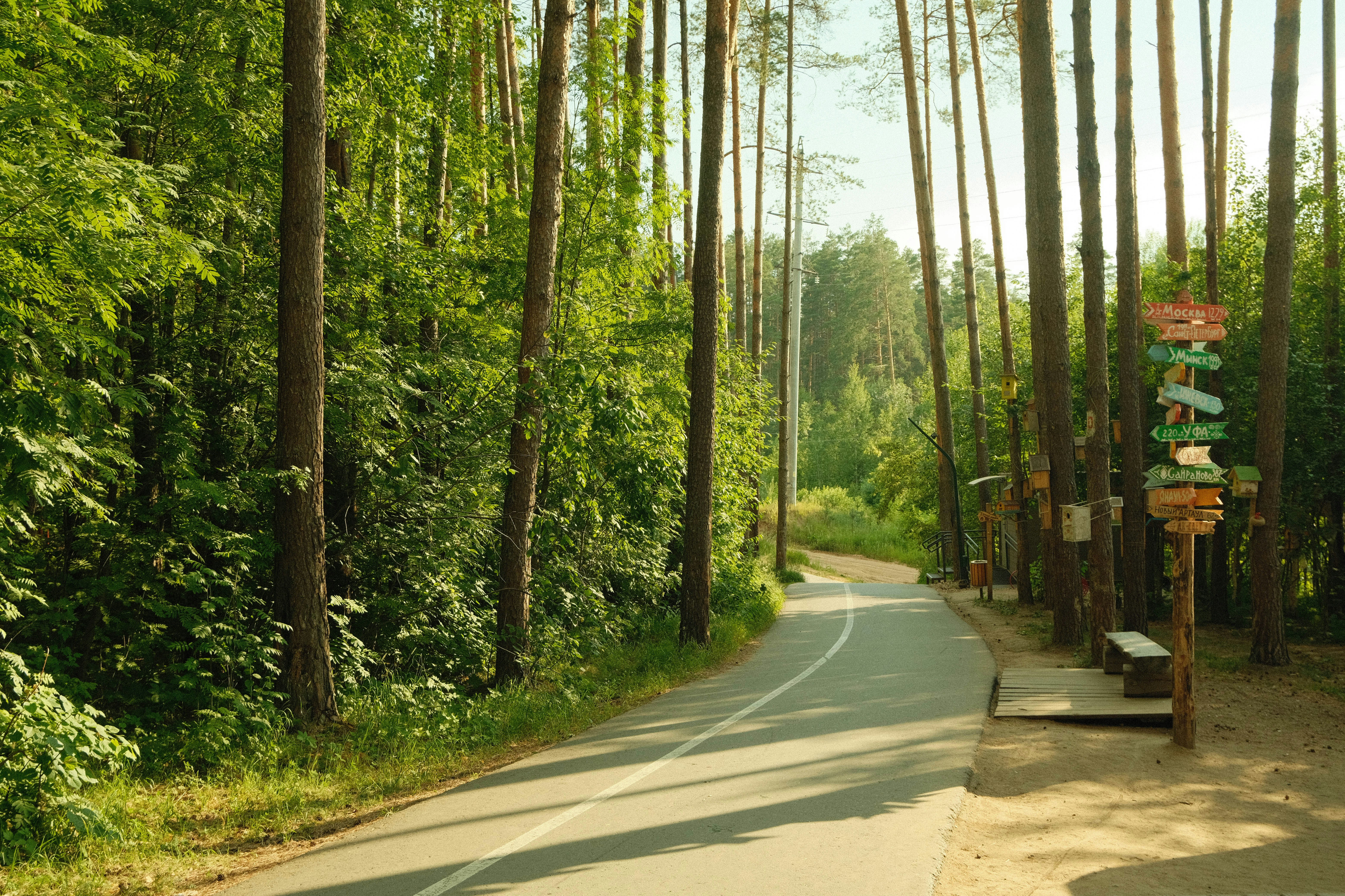 A road with trees on the side photo – Free Neftekamsk Image on Unsplash