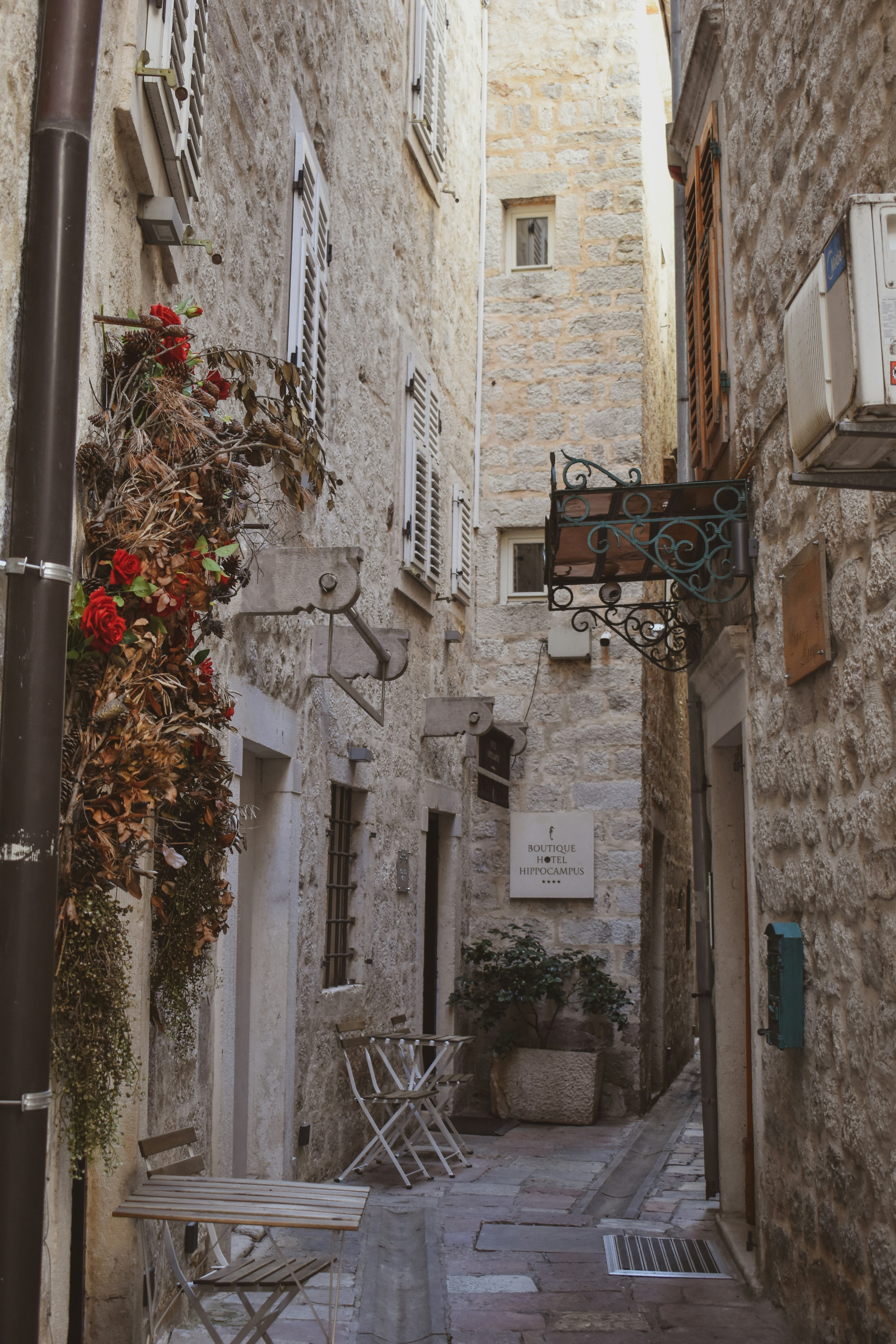Narrow cobblestone alley adorned with hanging plants and a wrought-iron sign, inviting exploration in a historic town.