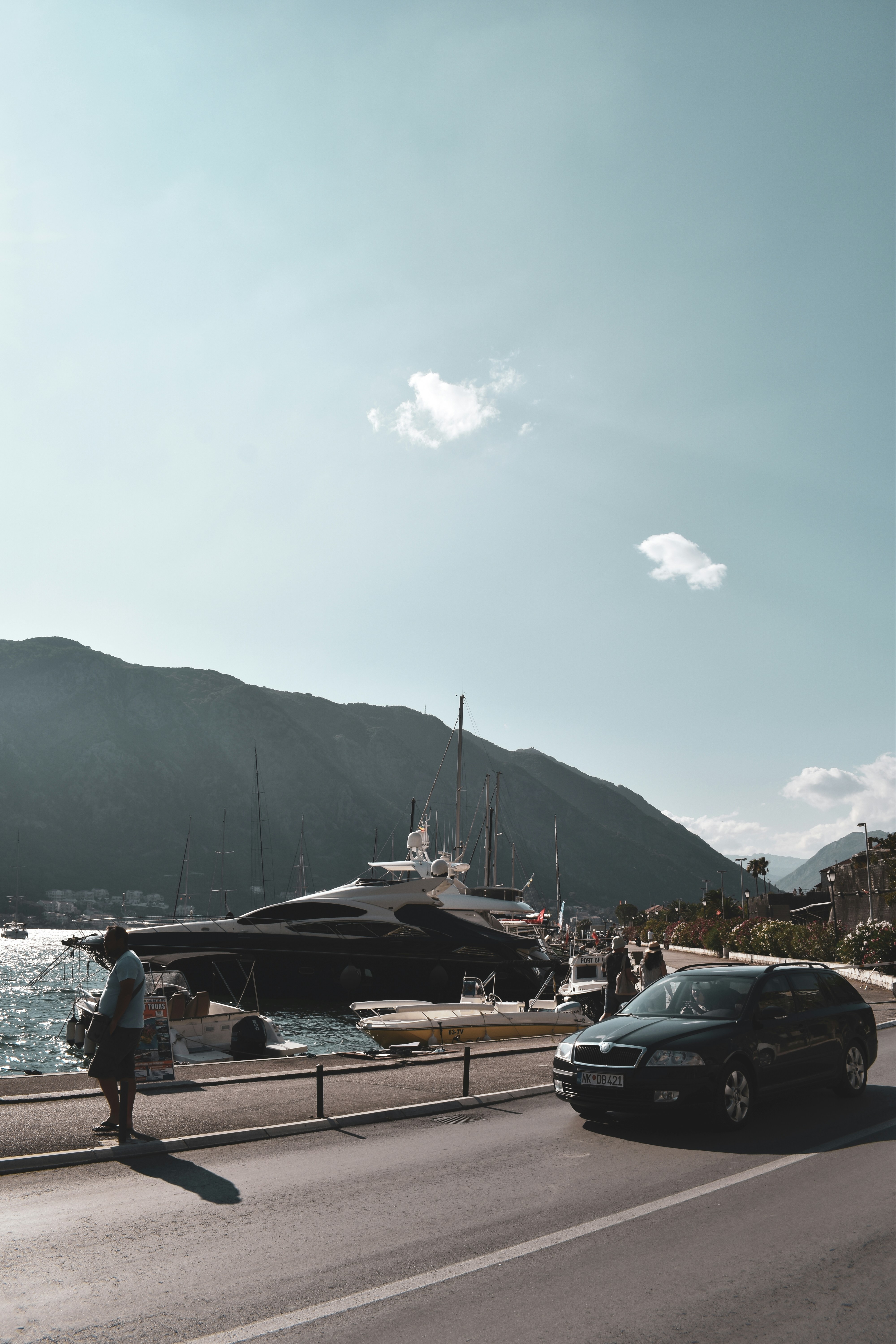 Harbor Colossus Against an Alpine Silhouette
