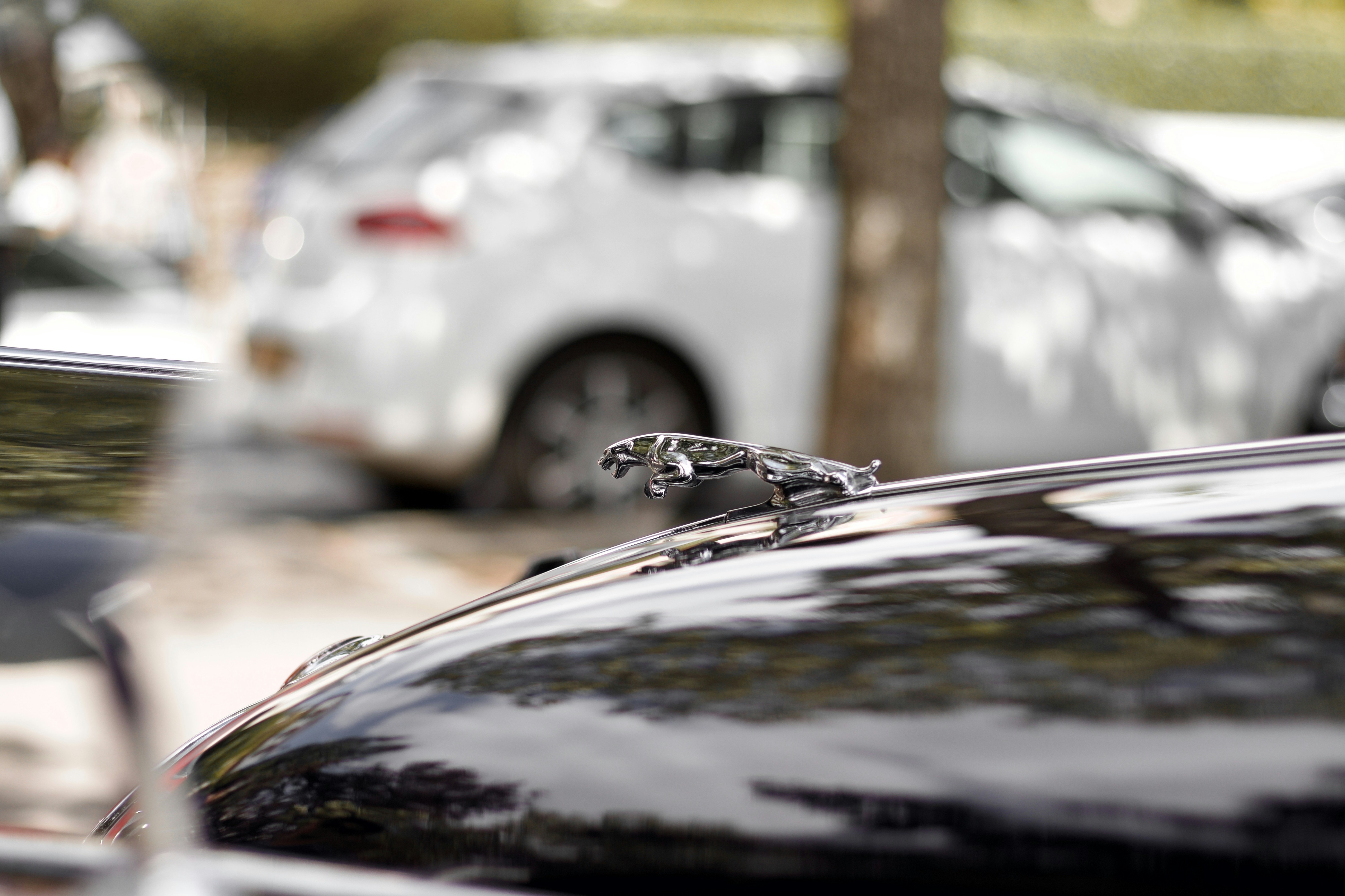 Chrome Hood Ornament: A Close-Up of a Shiny Classic Car Framed by City Blur